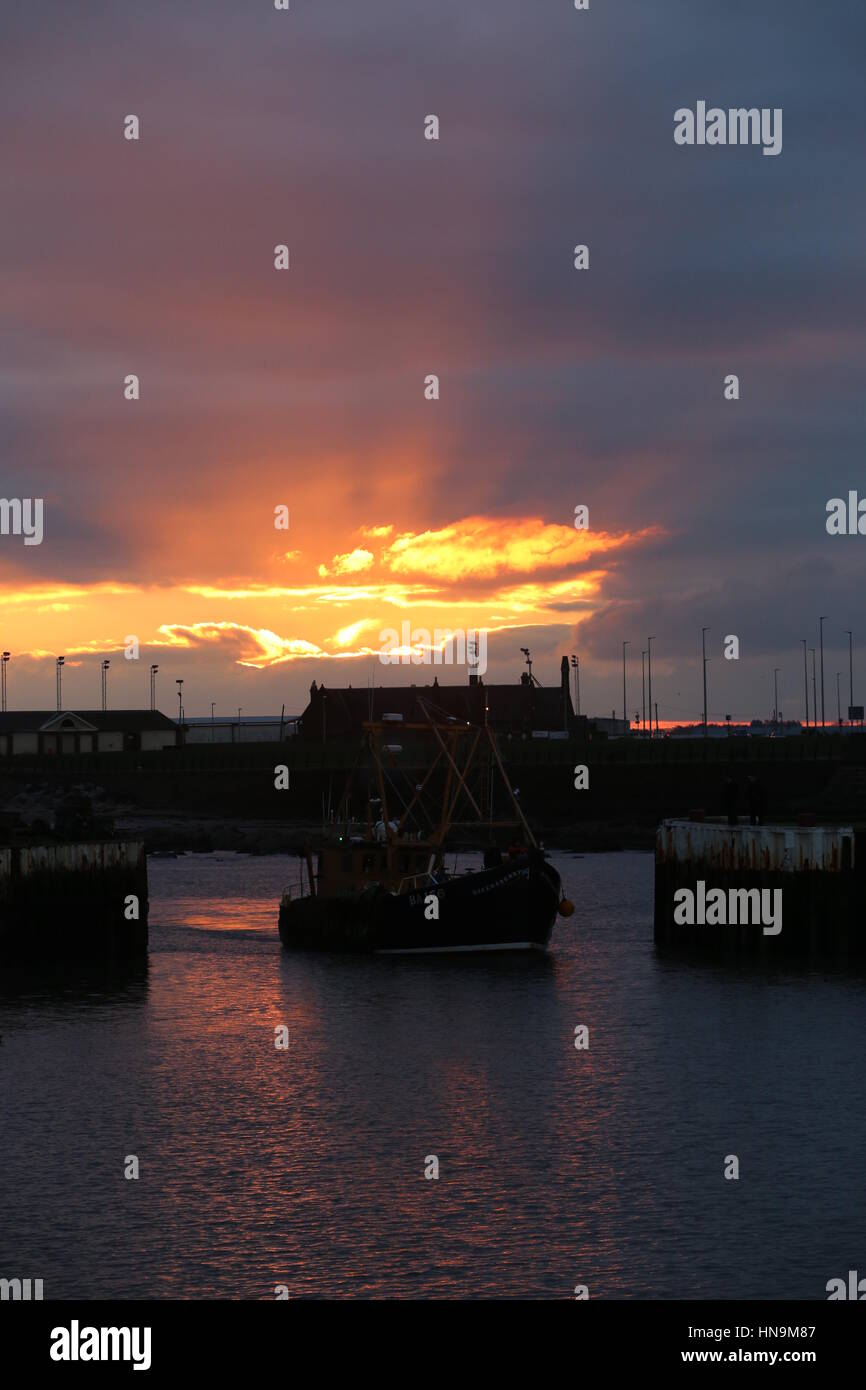 Fishing boat arriving Arbroath harbour at sunset Angus Scotland ...