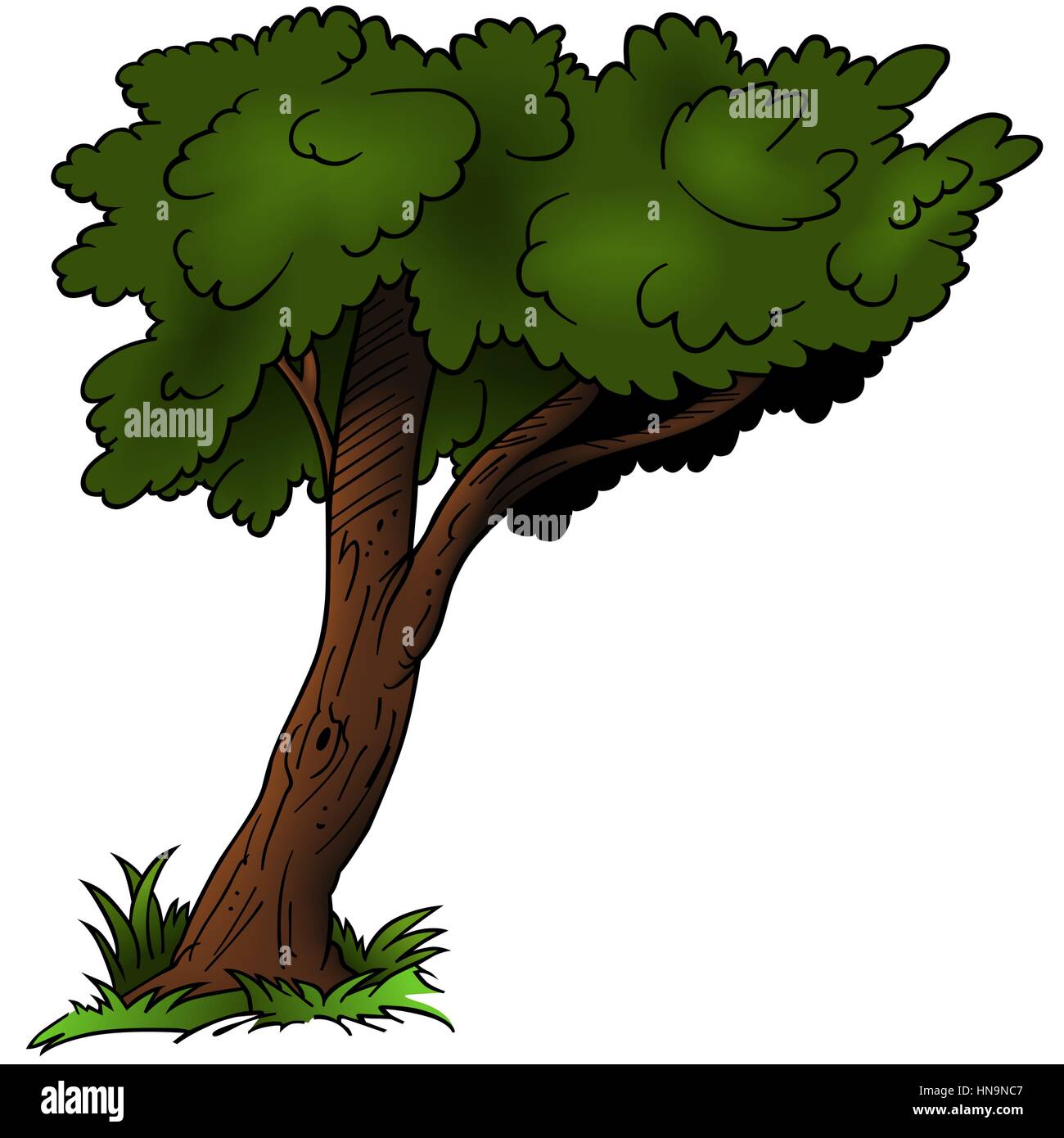 Deciduous tree colored cartoon illustration hi-res stock photography ...