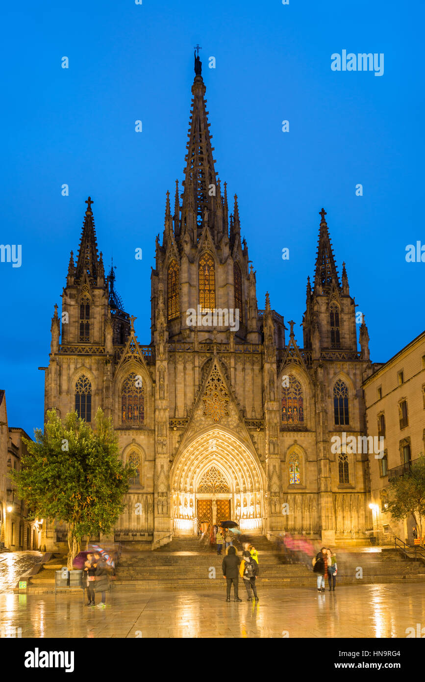 Barcelona Cathedral at night and in the rain, Catalonia, Spain Stock ...