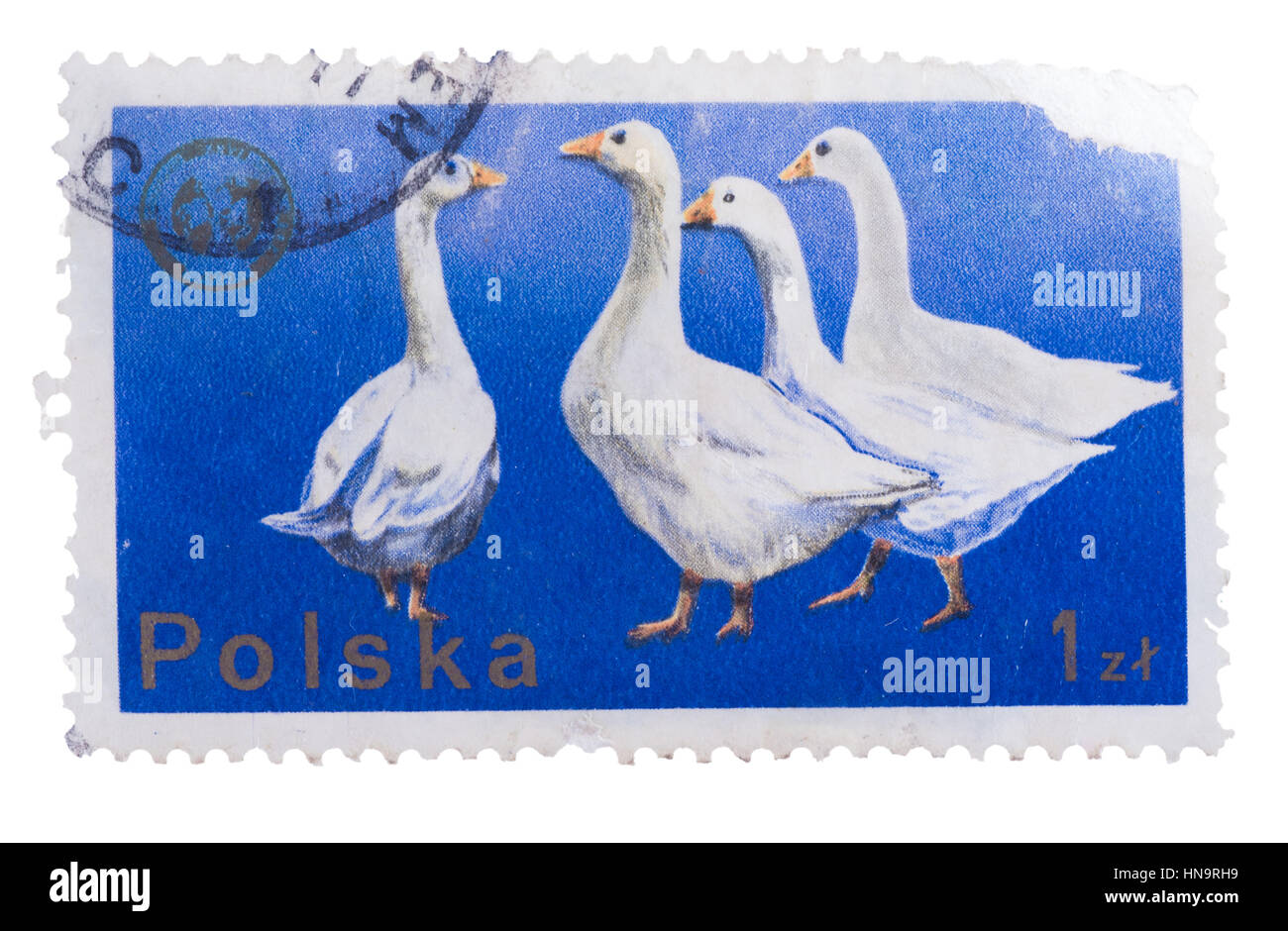 Summer postage stamp Cut Out Stock Images & Pictures - Alamy