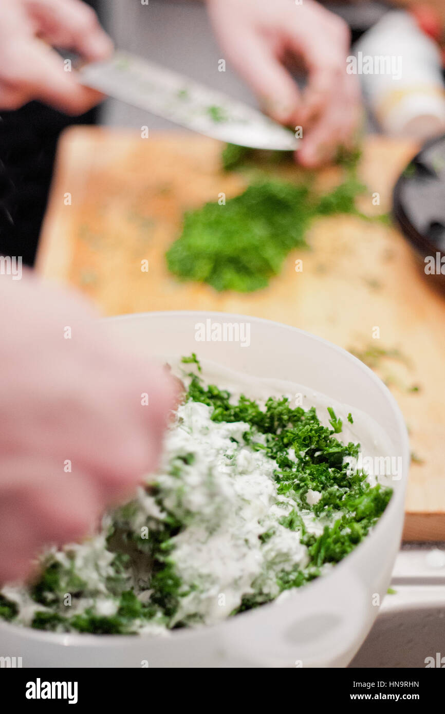 Green sauce is a family of cold, uncooked sauces based on herbs. Grüne ...