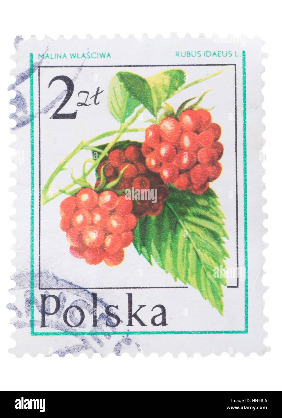 1981 drawing Cut Out Stock Images & Pictures - Alamy