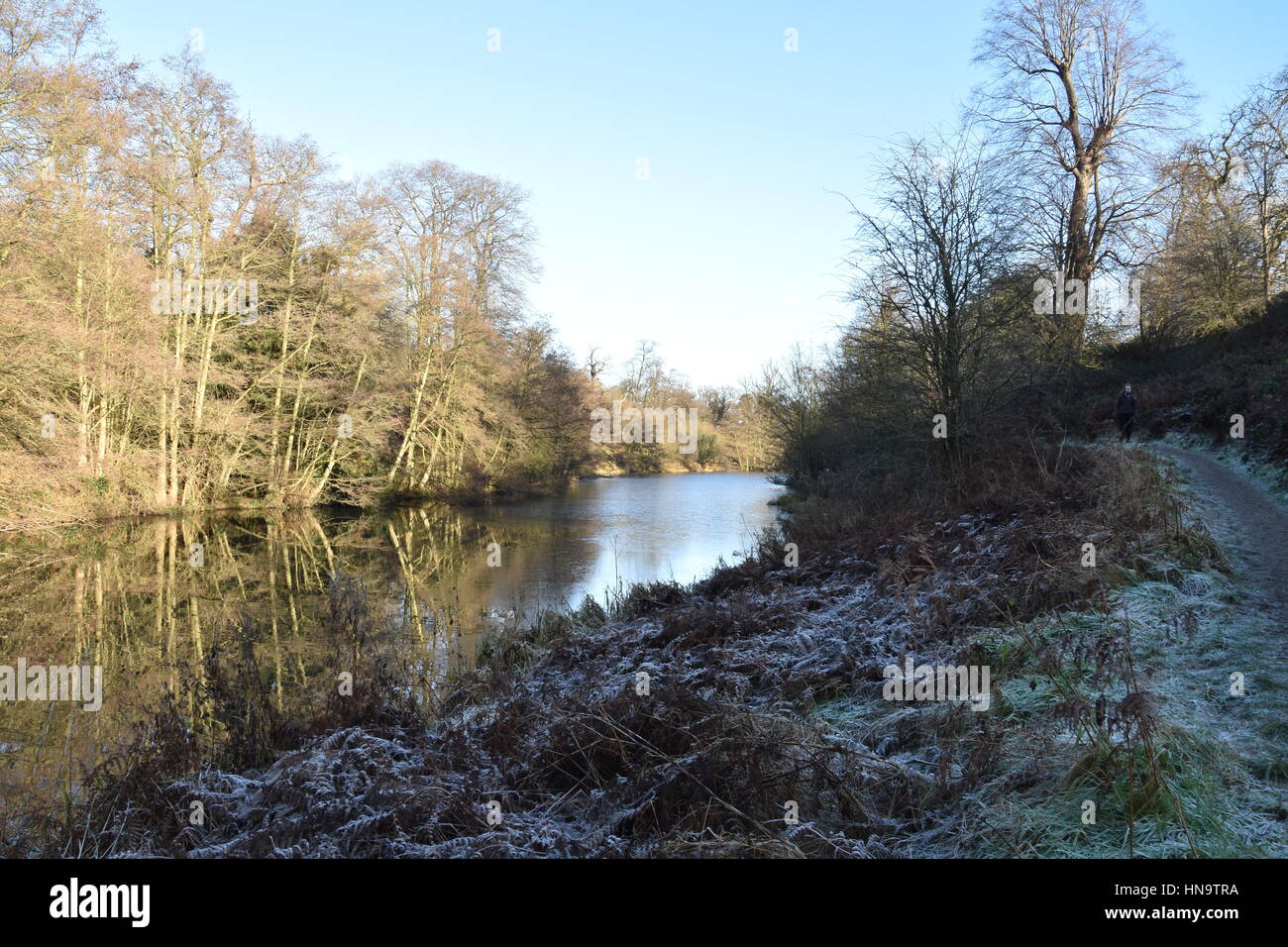 Calke park hi-res stock photography and images - Alamy