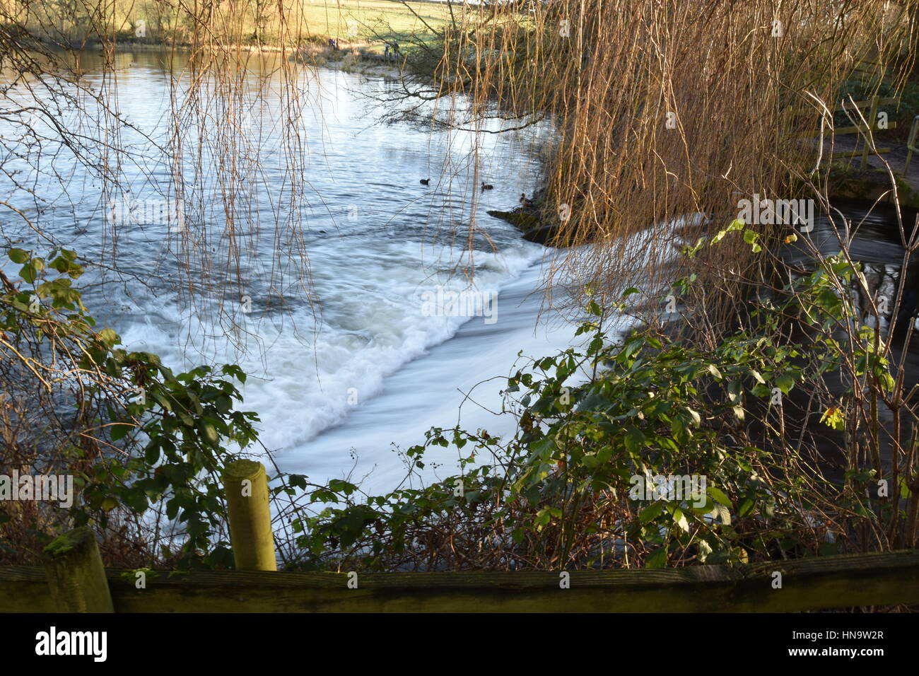 Calke country park in January Stock Photo - Alamy