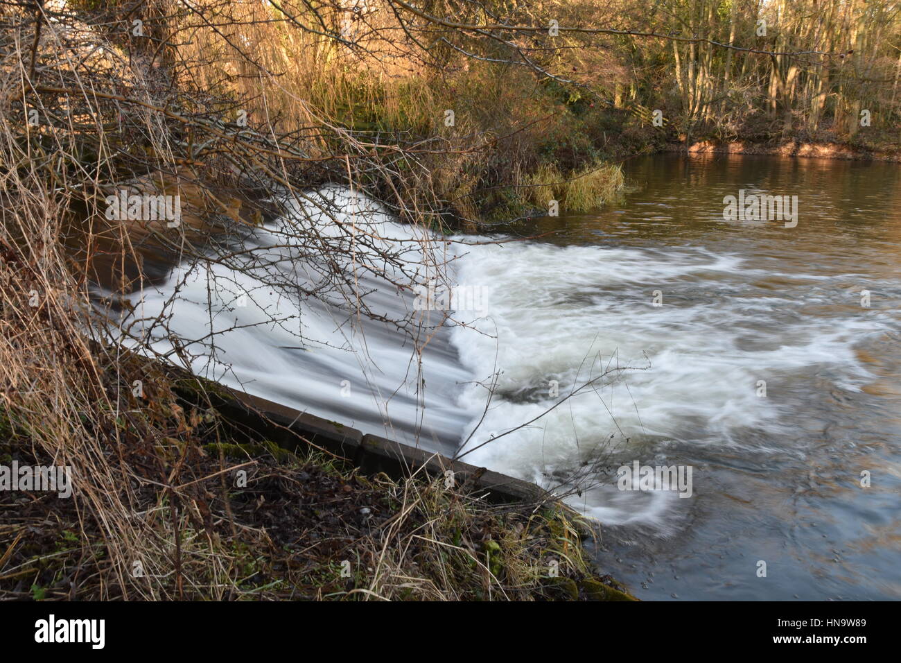 Calke park hi-res stock photography and images - Alamy