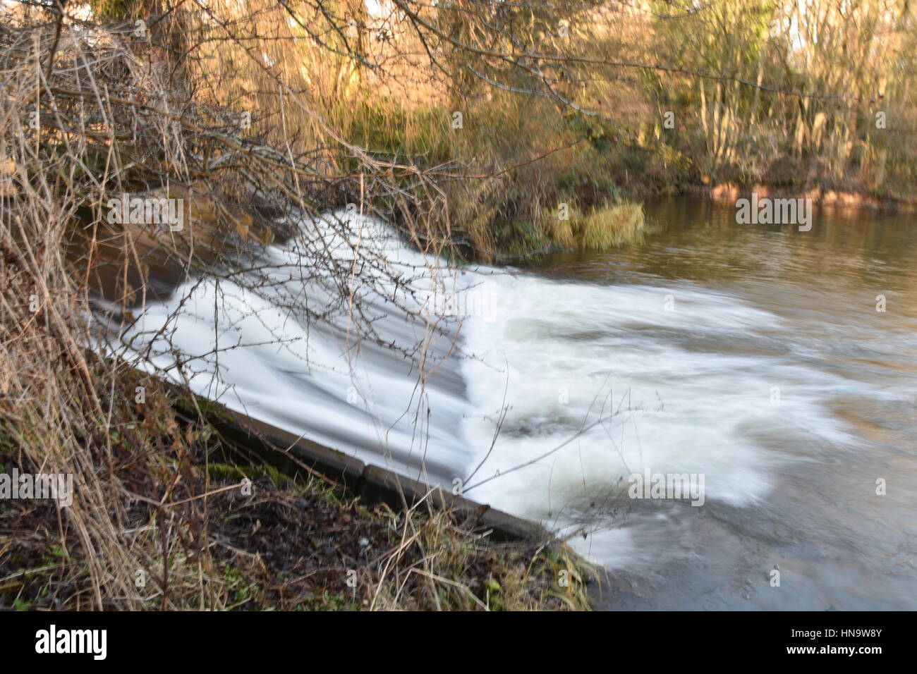 Calke country park in January Stock Photo - Alamy