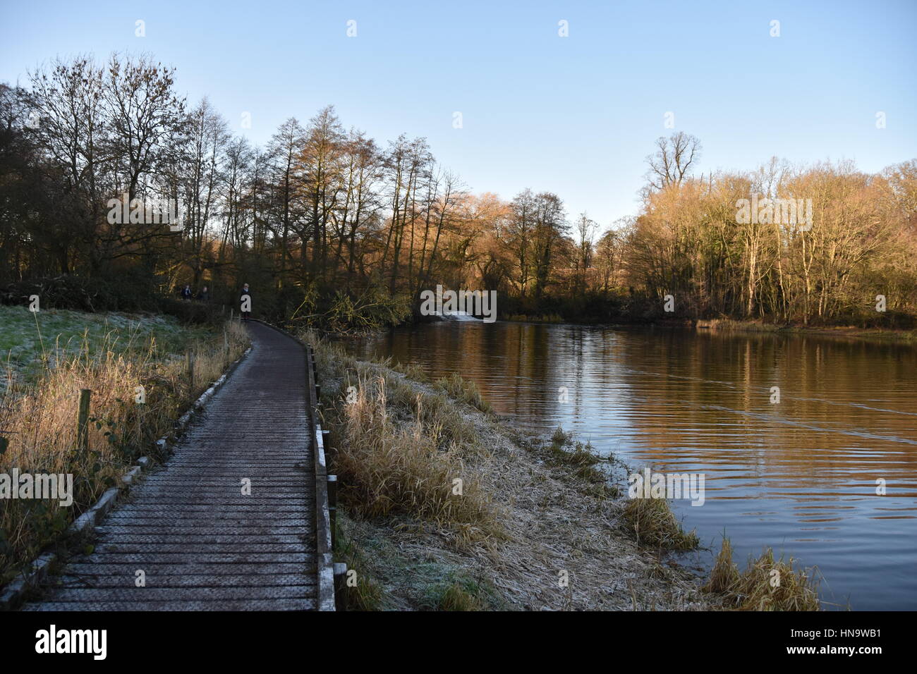 Calke park hi-res stock photography and images - Alamy