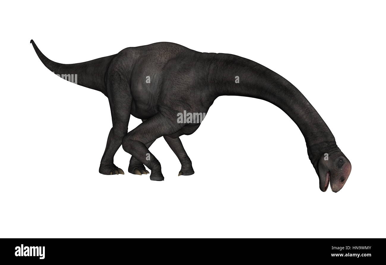 Brontomerus dinosaur eating isolated in white background - 3D render ...