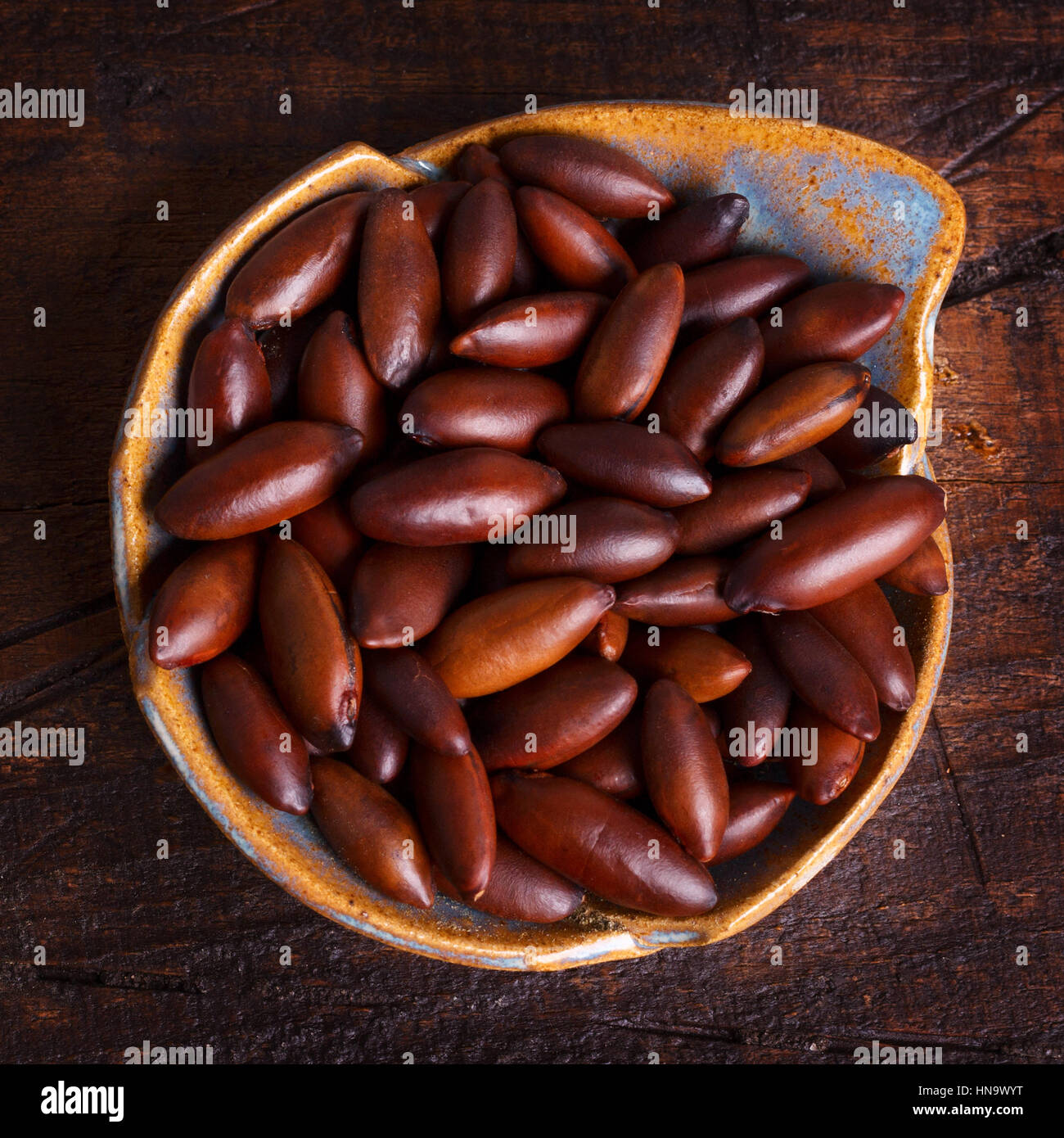 Baru almond (Cumaru, Cumbaru, Barujo, Coco-feijao, Cumarurana) on ...
