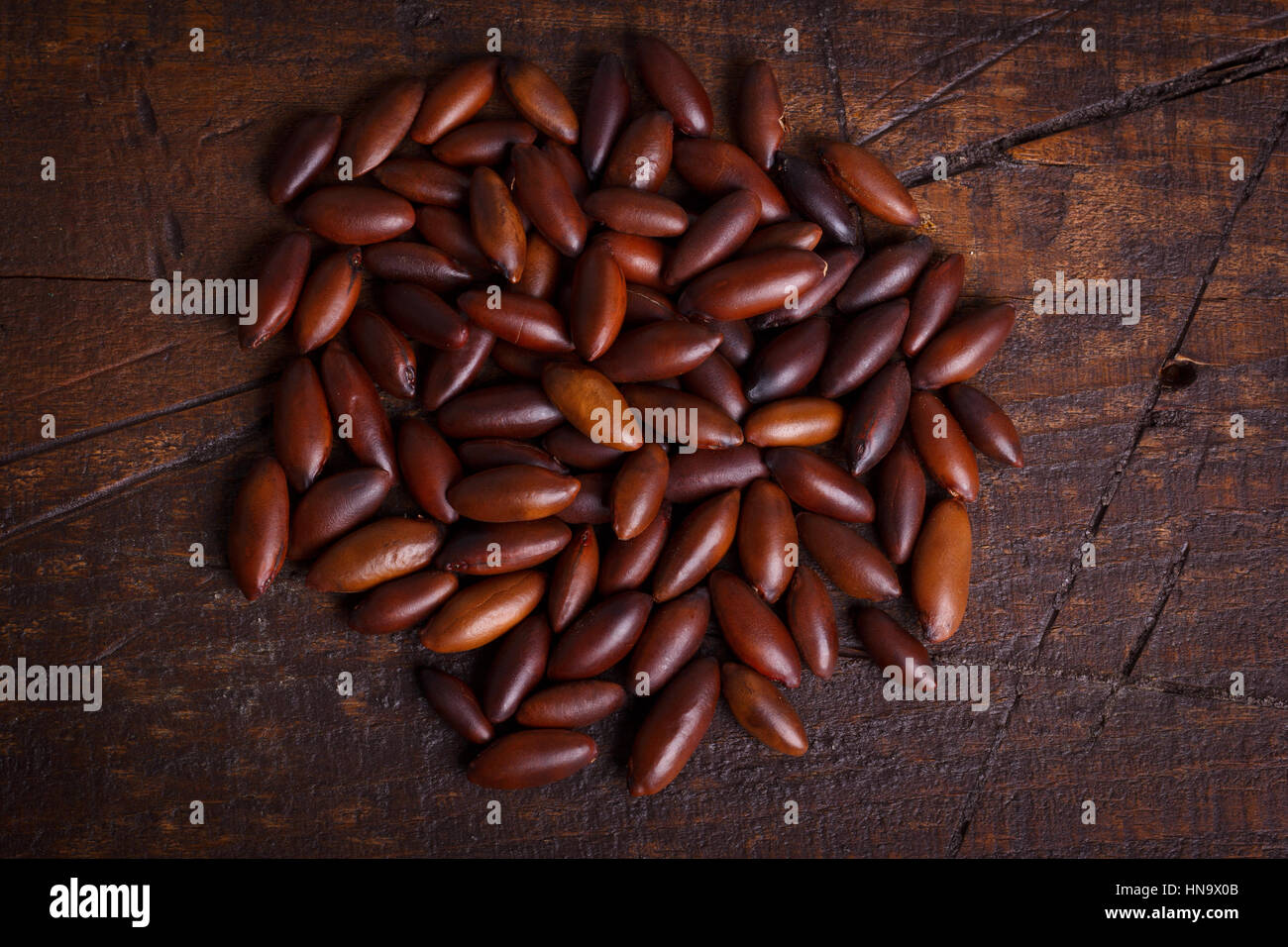 Baru almond (Cumaru, Cumbaru, Barujo, Coco-feijao, Cumarurana) on ...