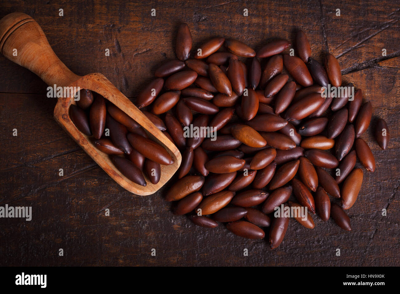 Baru almond (Cumaru, Cumbaru, Barujo, Coco-feijao, Cumarurana) on ...