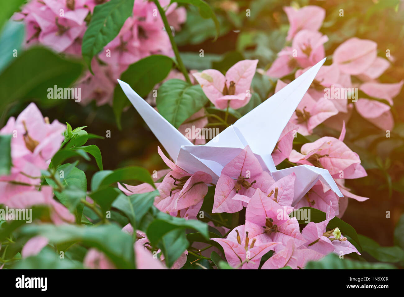 one paper crane in pink flowers background Stock Photo - Alamy