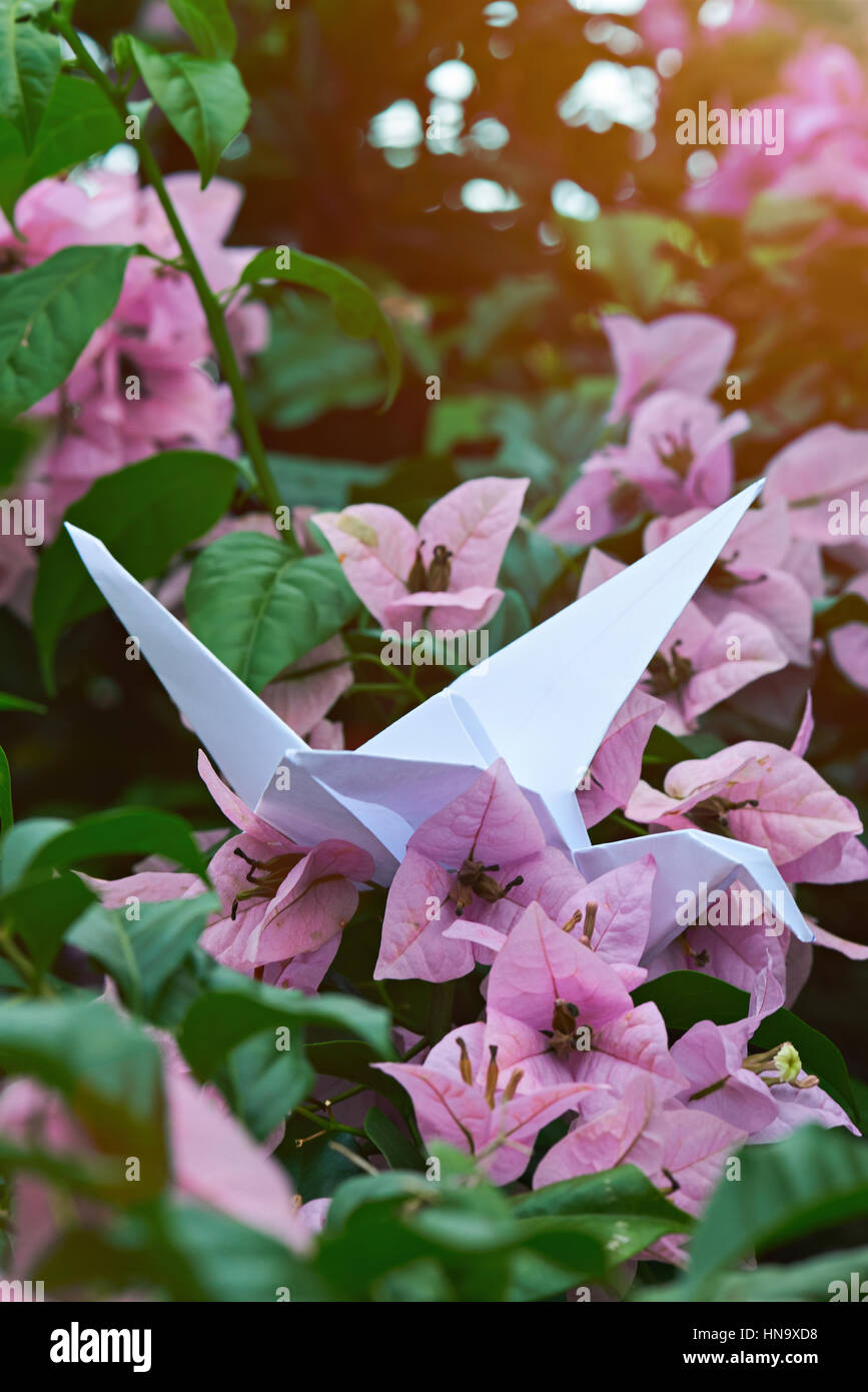 one white paper crane in pink flowers background Stock Photo - Alamy