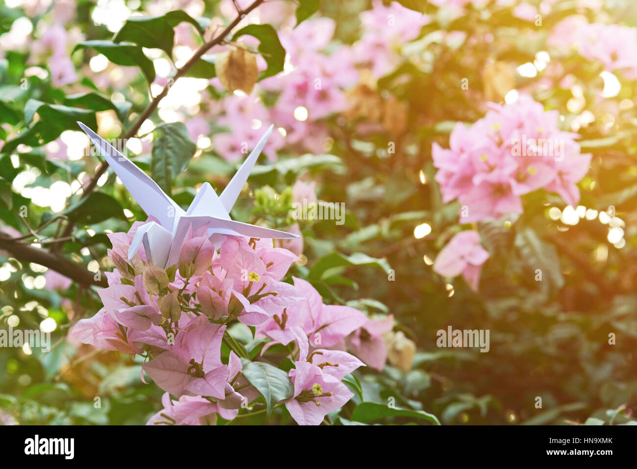 gold light white paper crane in pink flowers background Stock Photo - Alamy