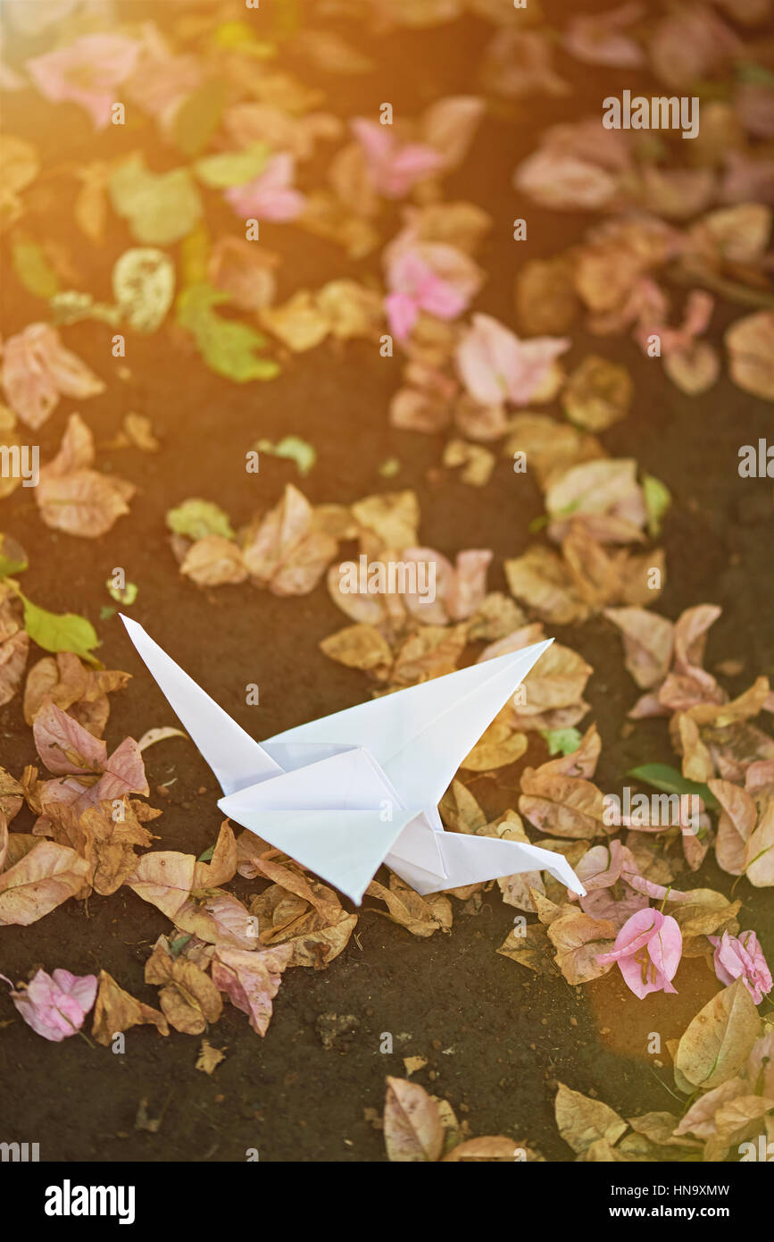 One origami paper crane on hi-res stock photography and images - Alamy