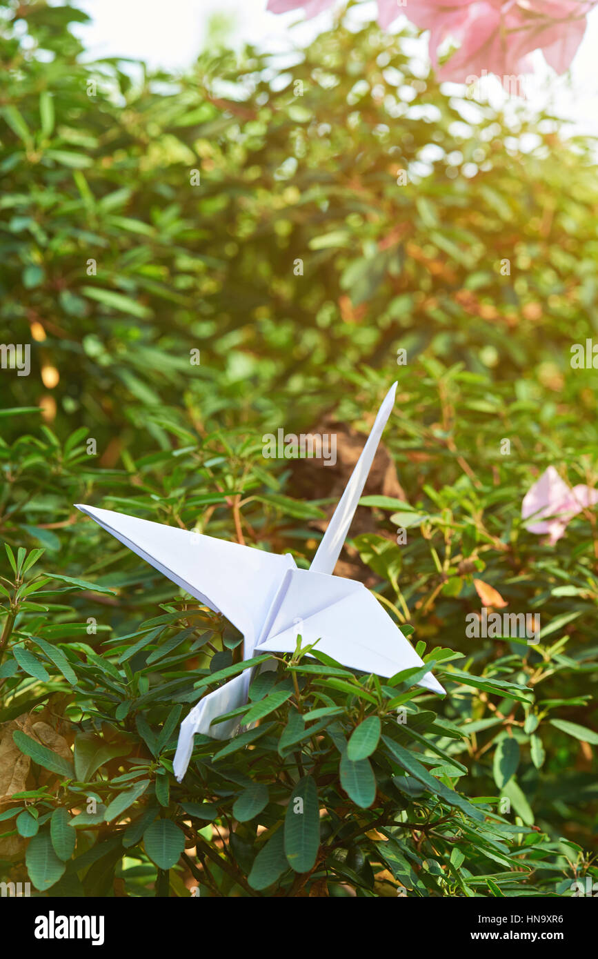 Gold paper cranes hi-res stock photography and images - Alamy