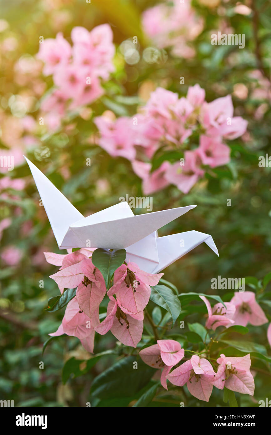 origami white paper swan on pink flower blurred background Stock Photo ...