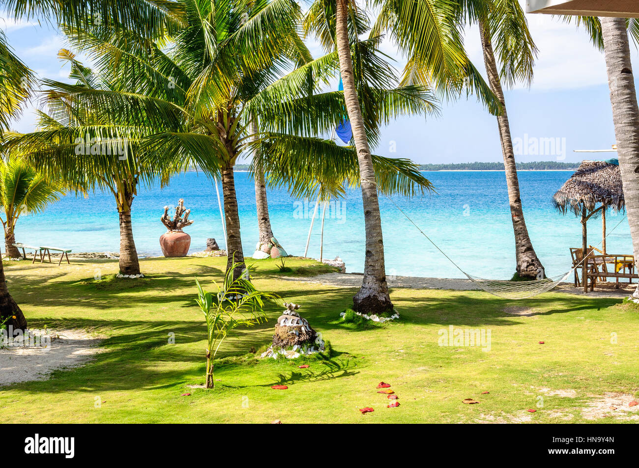 picturesque Virgin Island with its palm trees, green meadow and ...