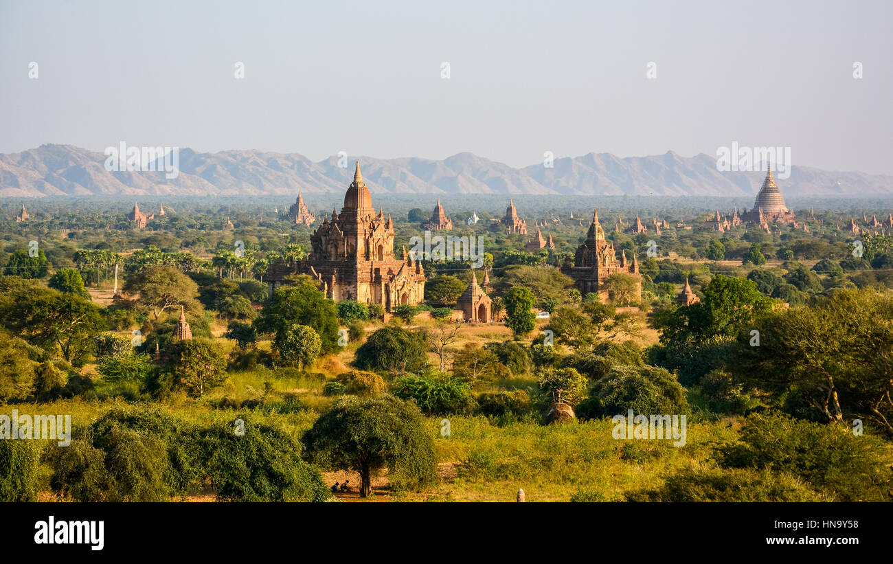Ancient Land of Bagan from Shwesandaw Temple, Bagan Stock Photo - Alamy