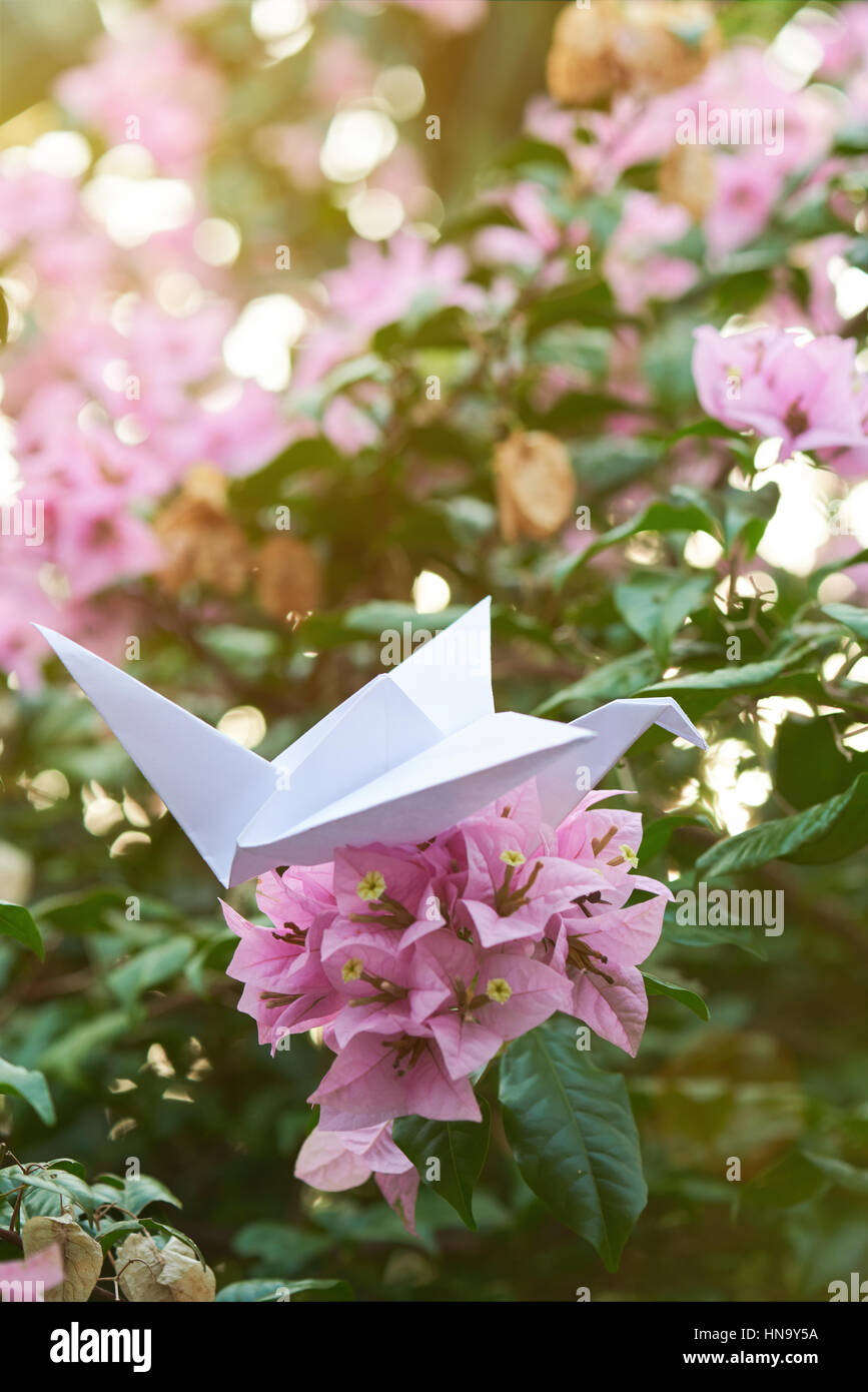 tree branch with paper crane on it with sun light Stock Photo - Alamy