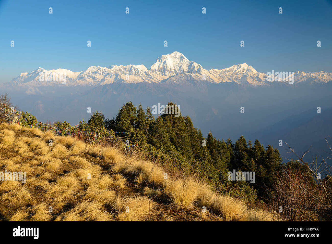 Annapurna summit with view from Poonhill, tibetan praying flags in the ...