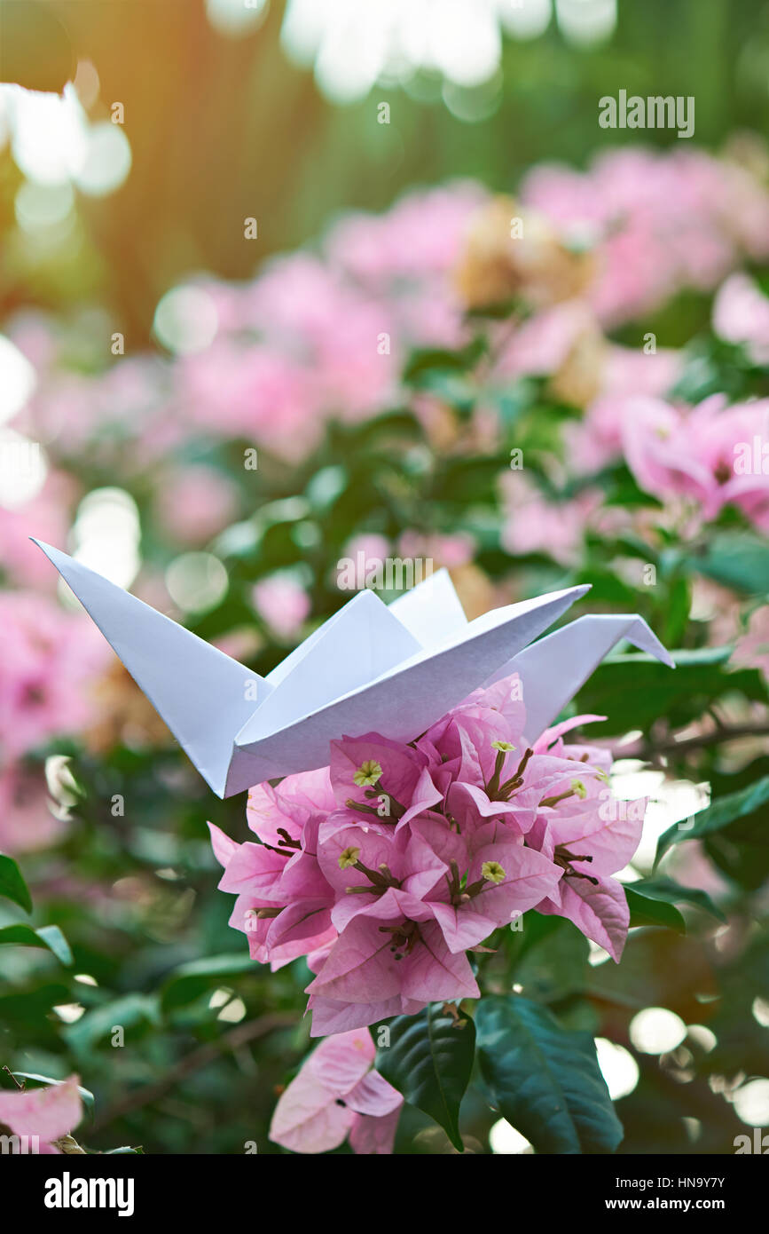 White crane bird hi-res stock photography and images - Alamy