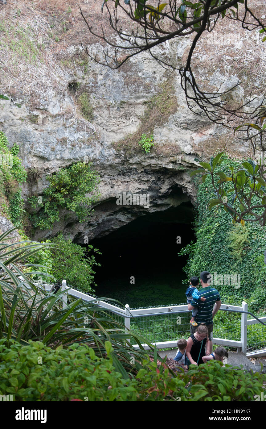 Umpherston Sinkhole, a limestone cave, inside the Cave Gardens at Mt ...