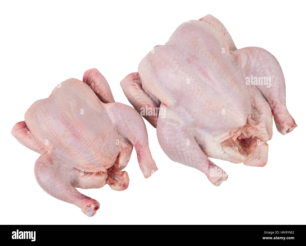 two raw chicken isolated in white background Stock Photo - Alamy
