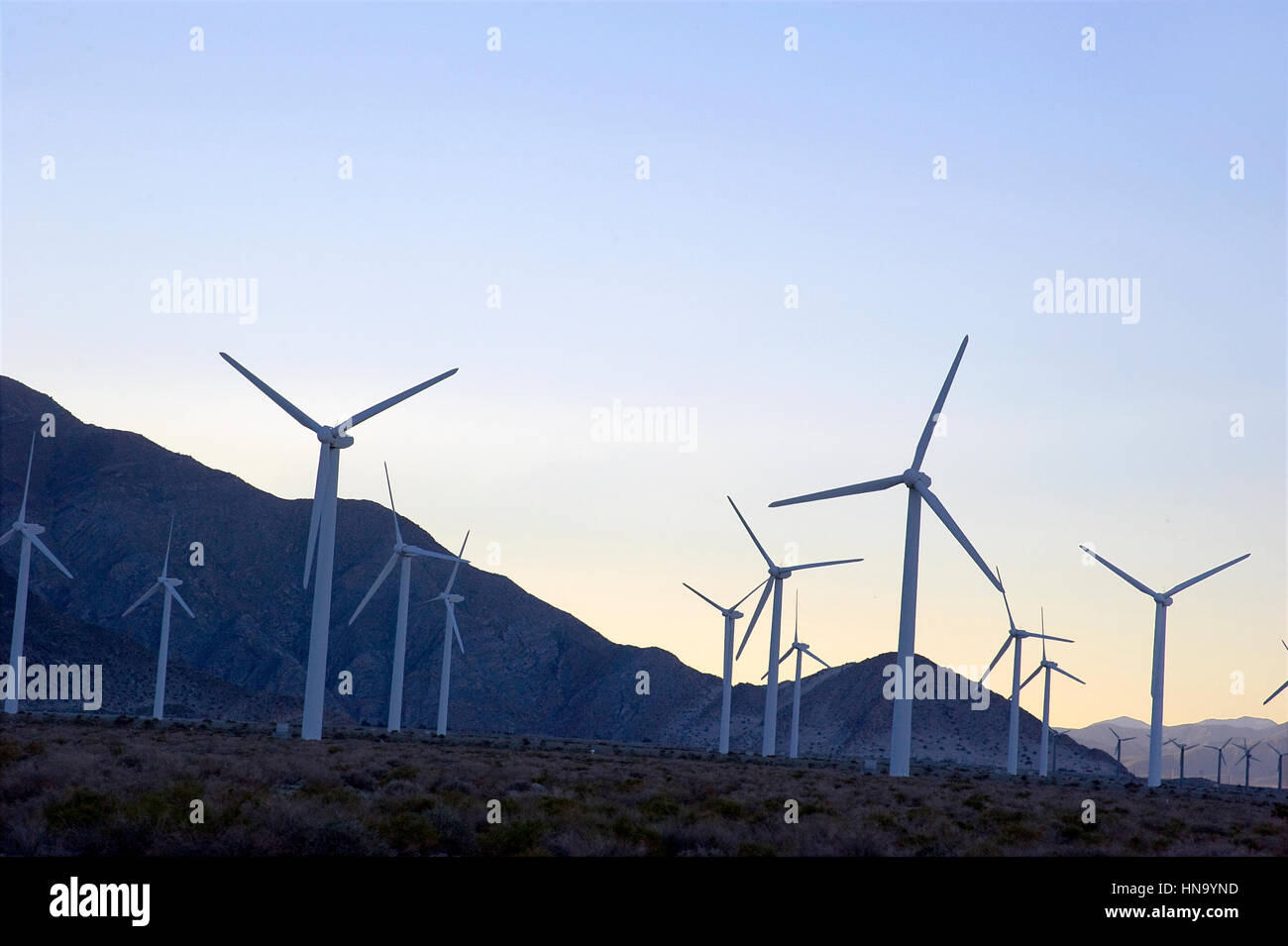 North american desert hi-res stock photography and images - Alamy