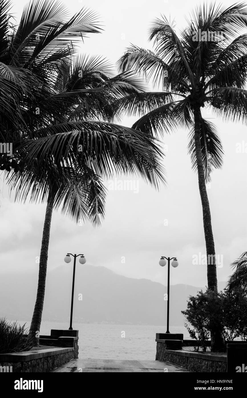 Between path Black and White Stock Photos & Images - Alamy