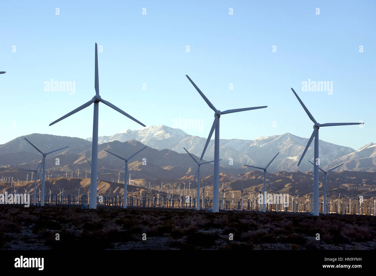 North american desert hi-res stock photography and images - Alamy
