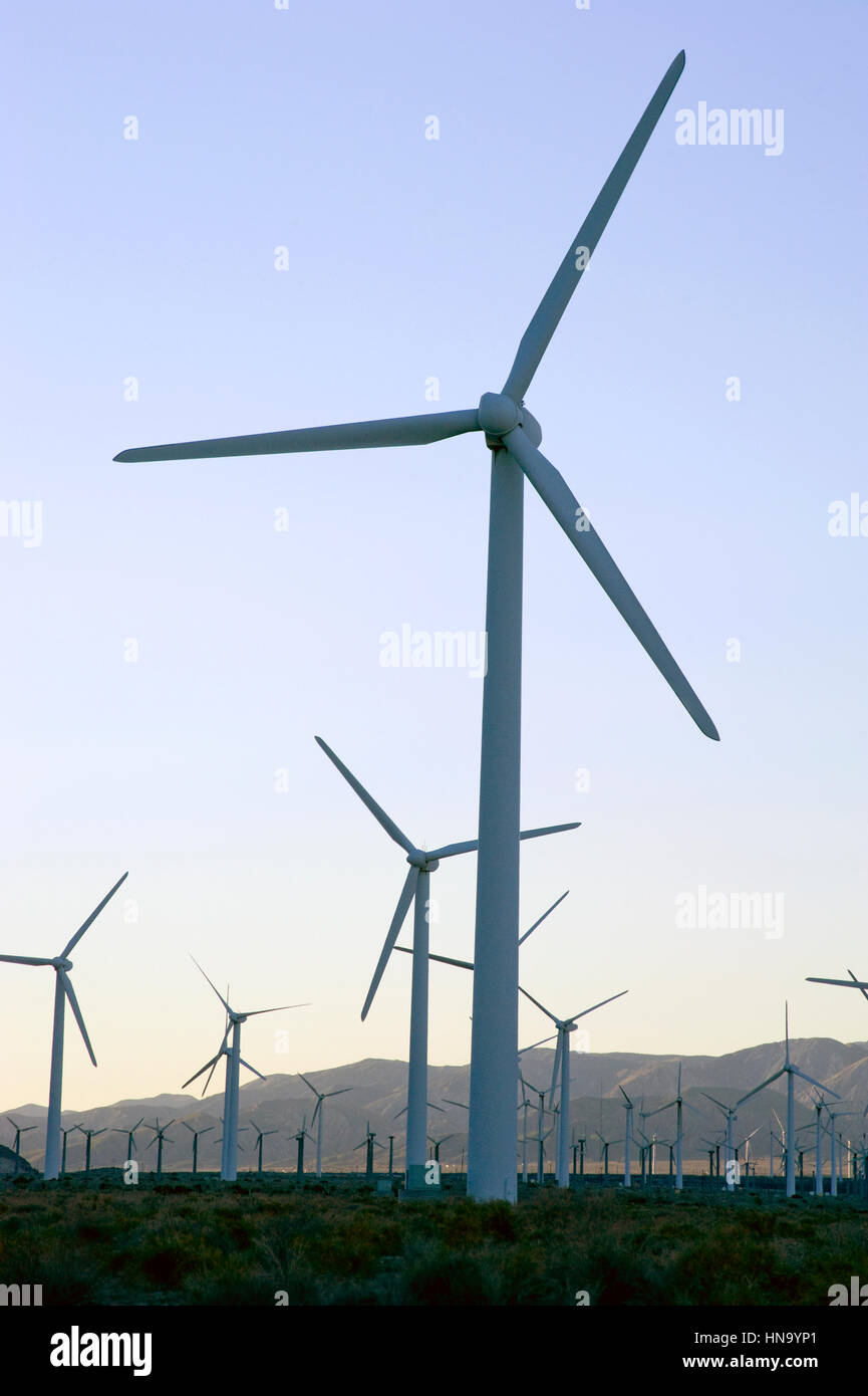American vertical hi-res stock photography and images - Alamy