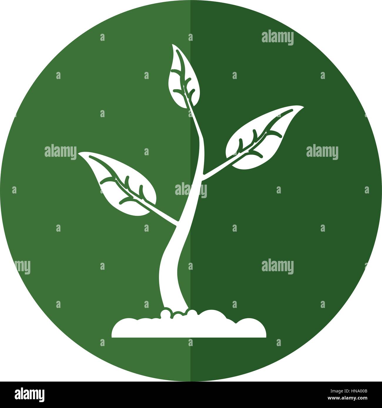 sprout growing plant eco shadow vector illustration eps 10 Stock Vector ...