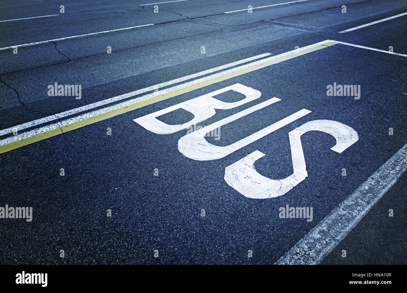 Sign on road bus, detail of a sign painted on the asphalt, information ...