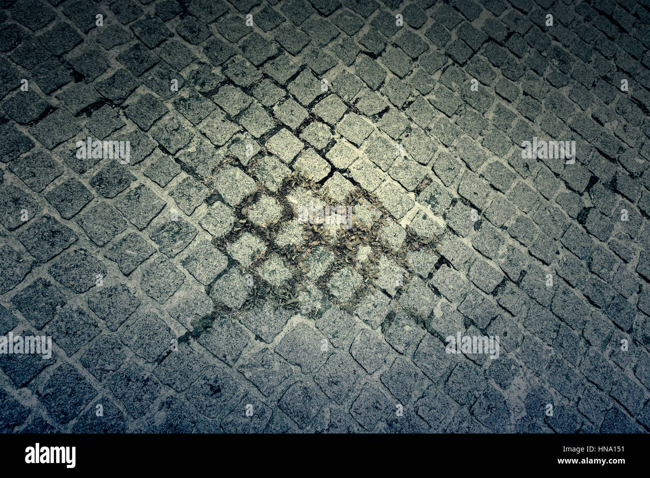 Textured texture cobbles paving road detail urban city hi-res stock ...