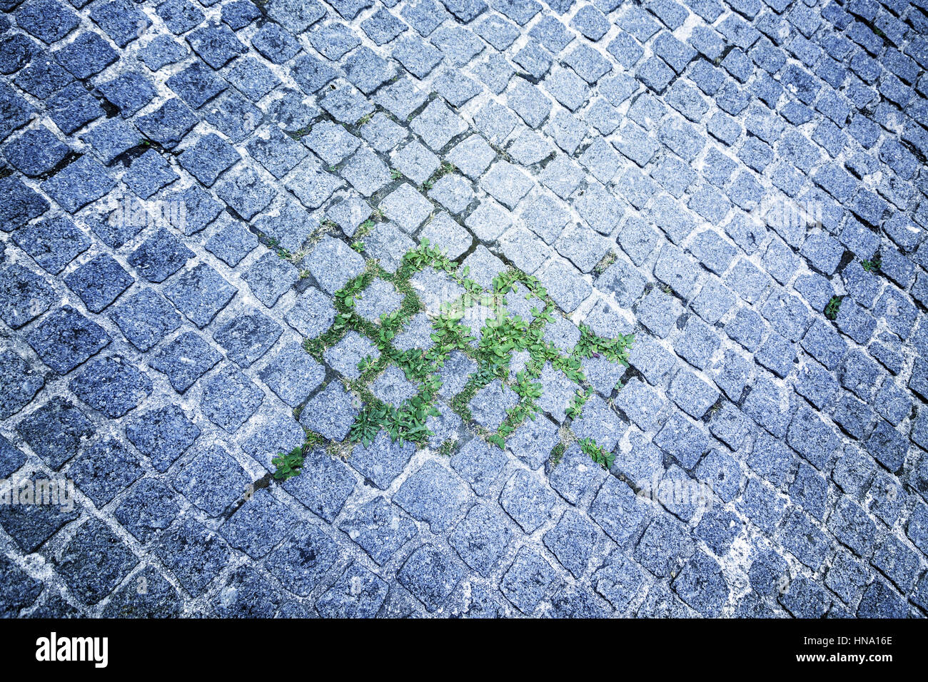 Cobbles on the ground with grass, detail of an old floor to walk ...