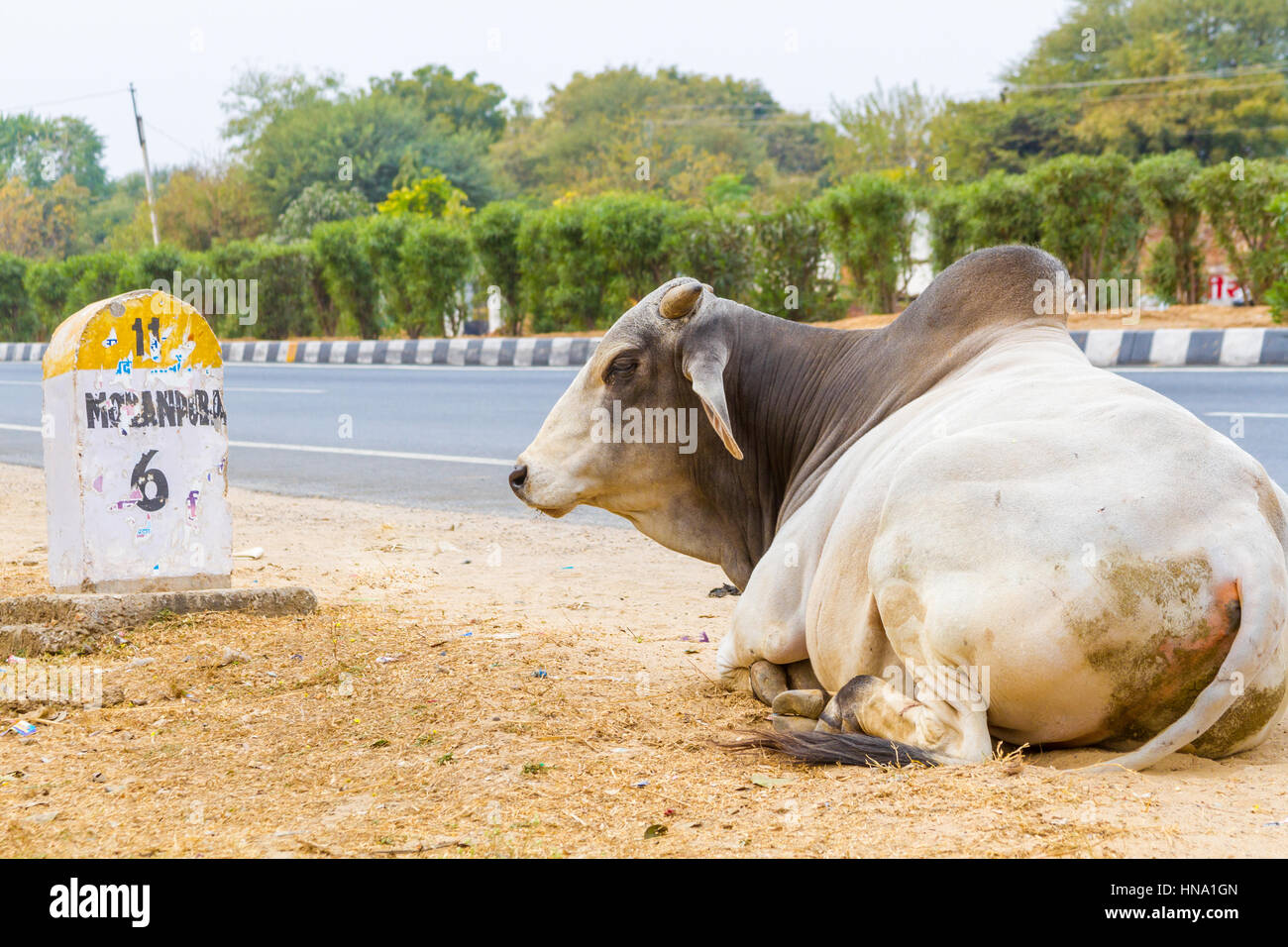 Sitting Bull Indian High Resolution Stock Photography and Images - Alamy