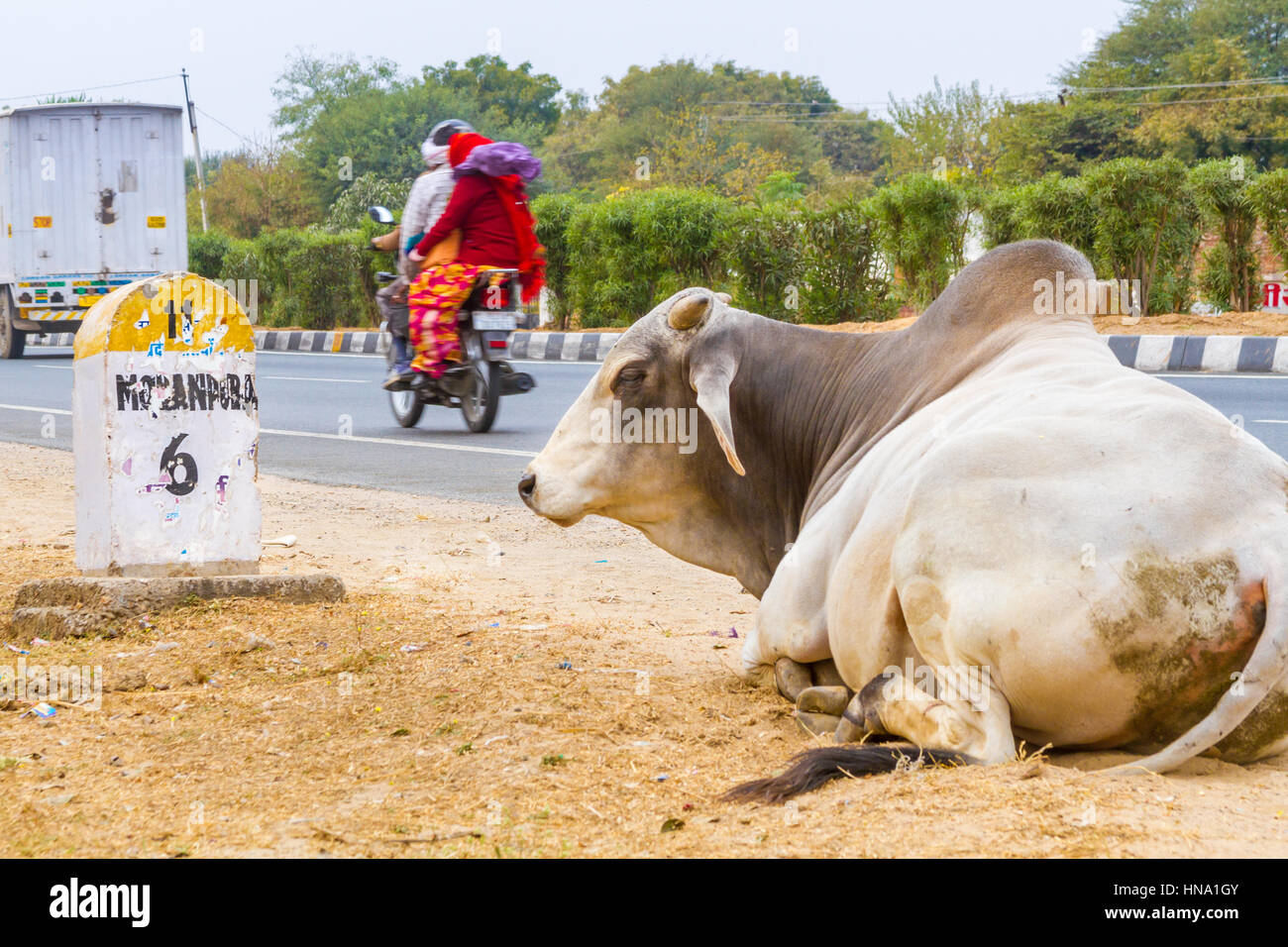 Sitting Bull Indian High Resolution Stock Photography and Images - Alamy