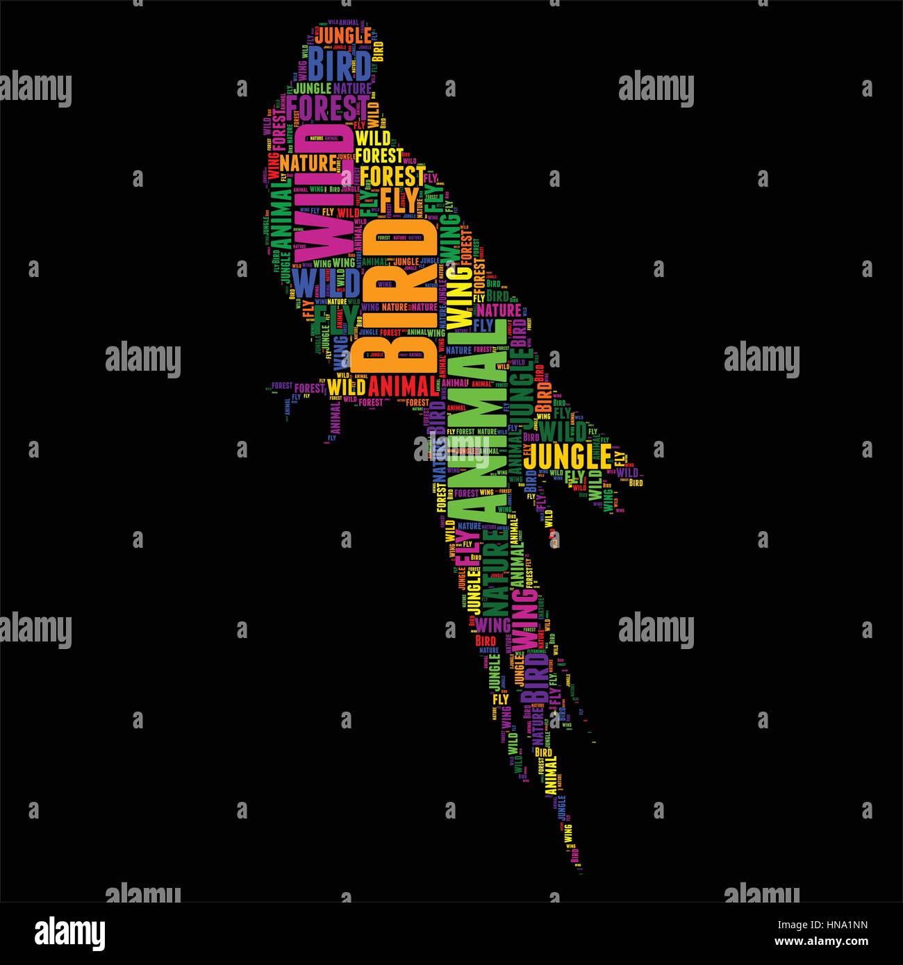 Bird Typography word cloud colorful Vector illustration Stock Vector ...