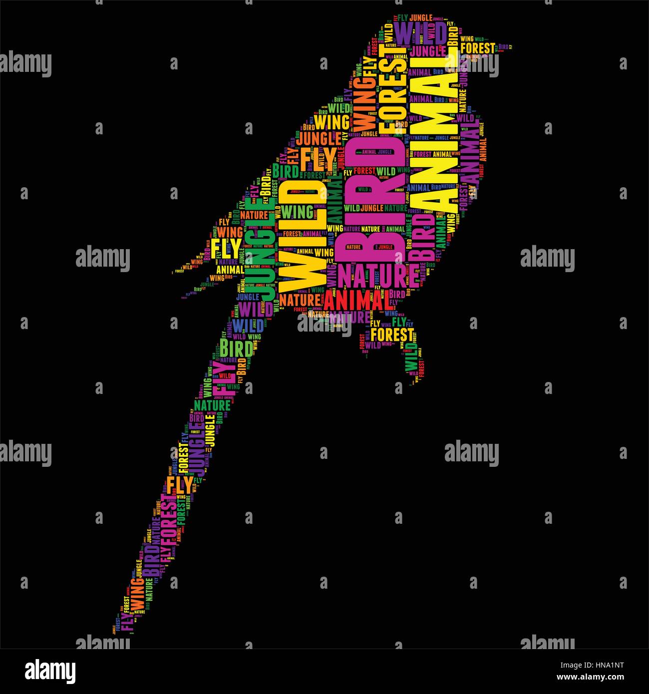 Bird Typography word cloud colorful Vector illustration Stock Vector ...