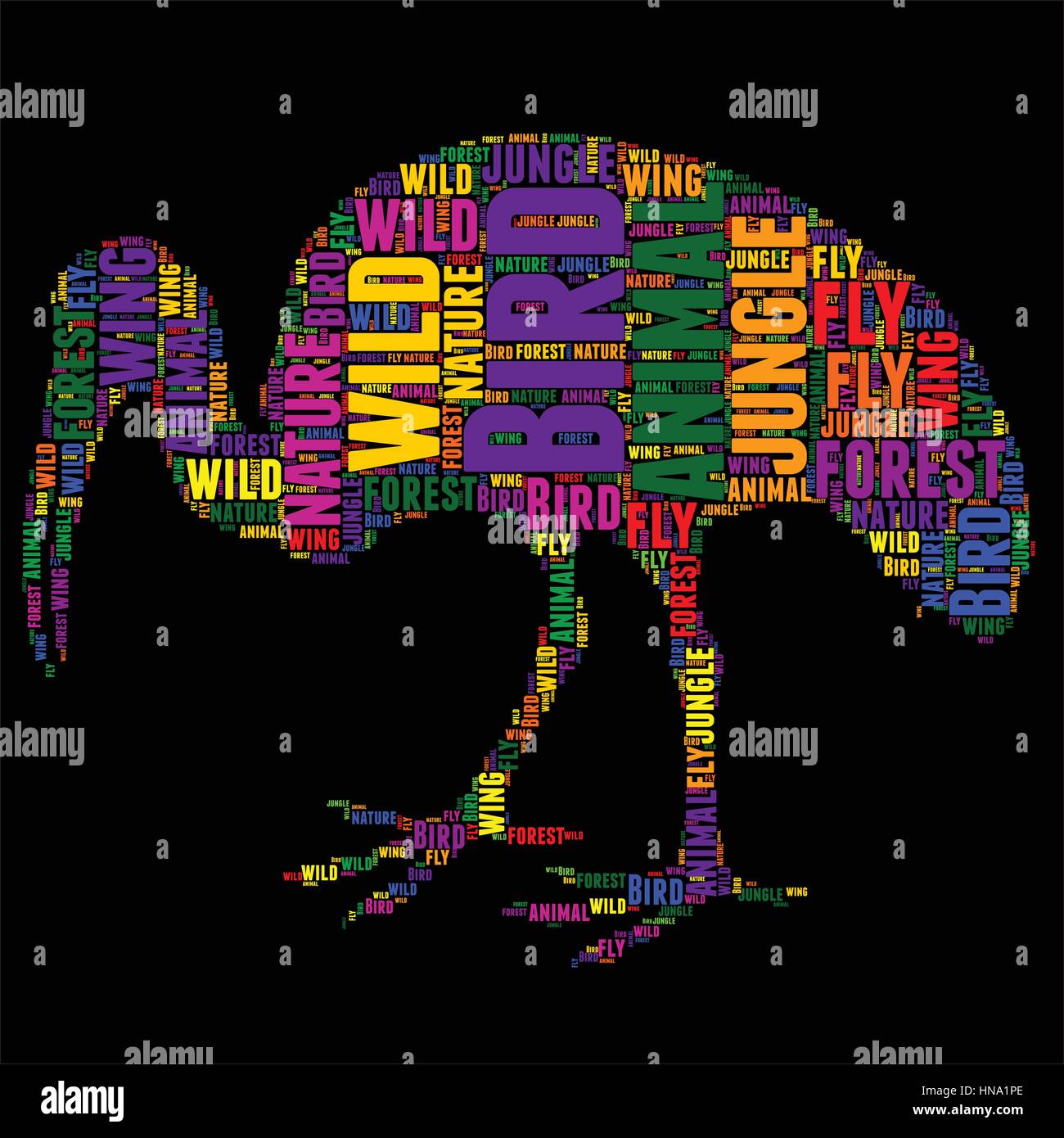 Bird Typography word cloud colorful Vector illustration Stock Vector ...