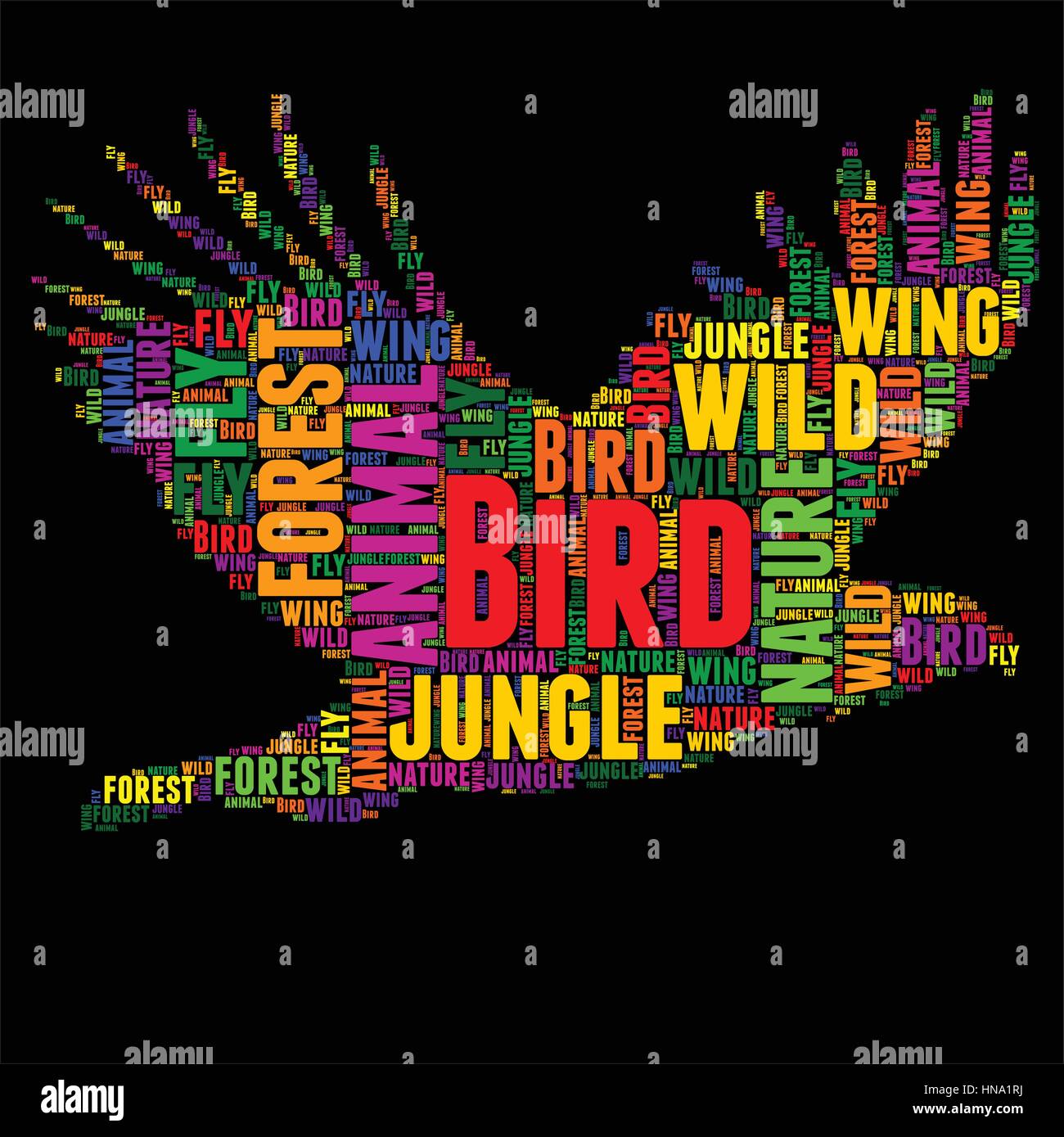 Bird Typography word cloud colorful Vector illustration Stock Vector ...