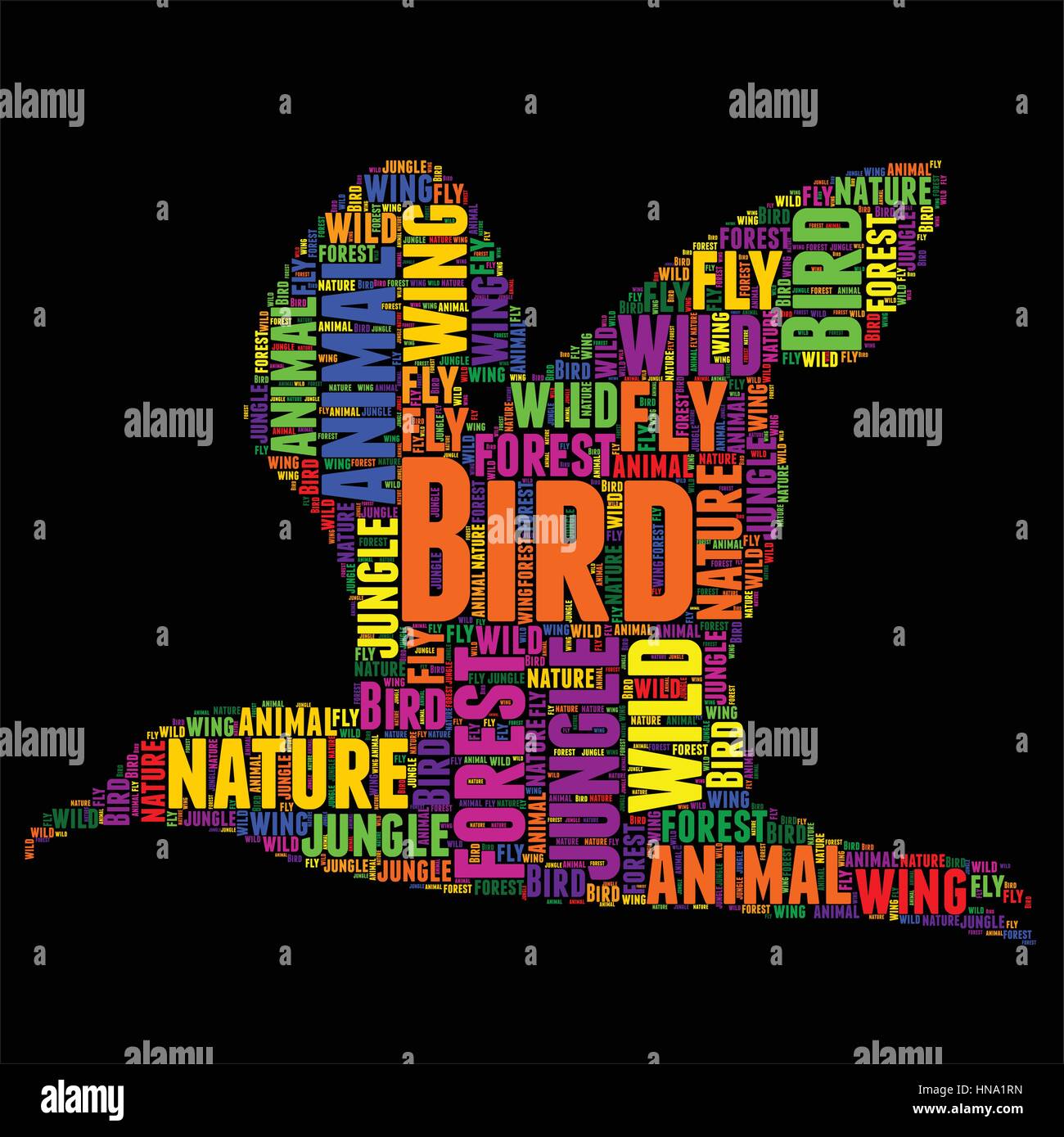 Bird Typography word cloud colorful Vector illustration Stock Vector ...
