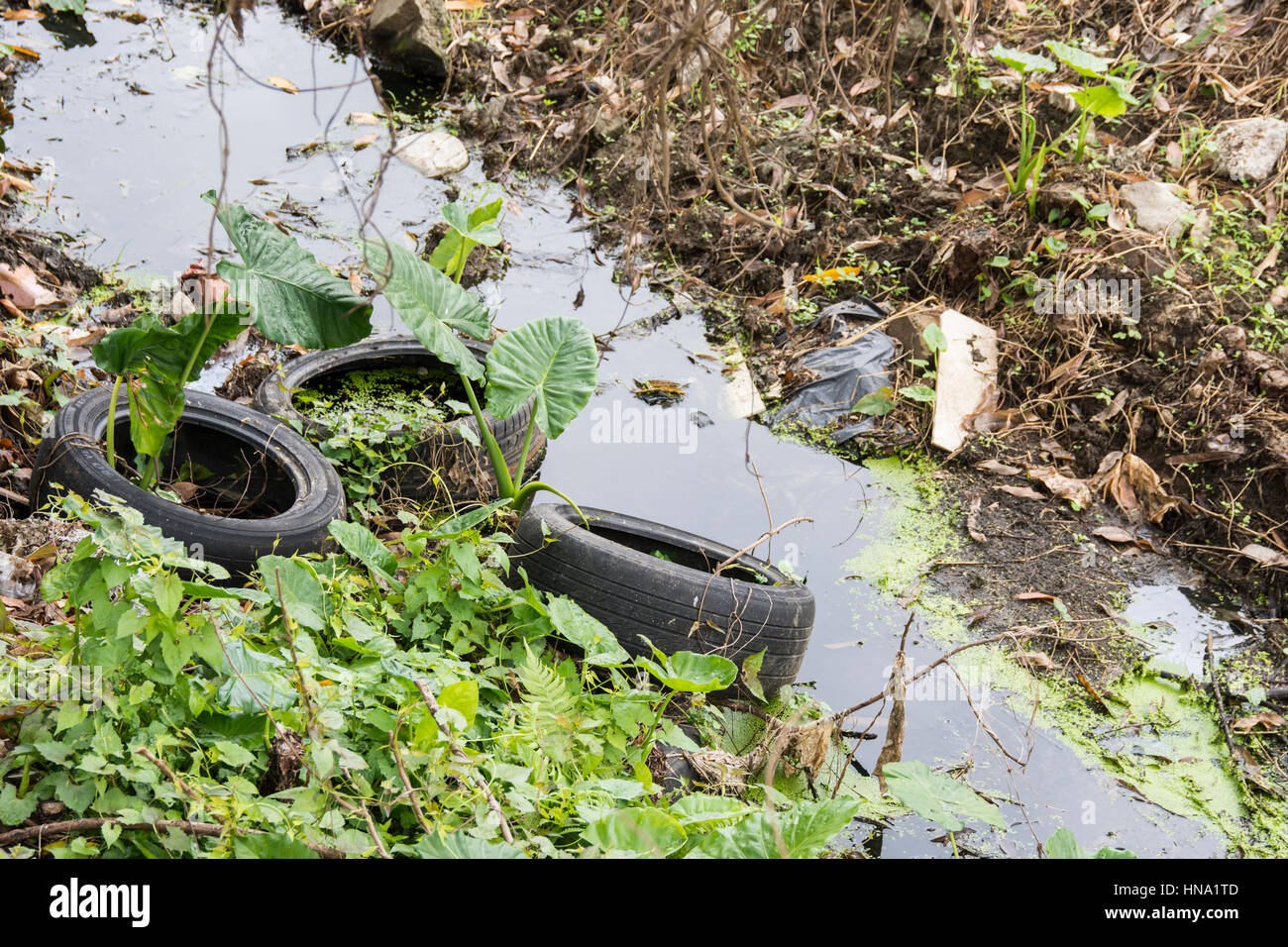 Wheel of a garbage hi-res stock photography and images - Alamy