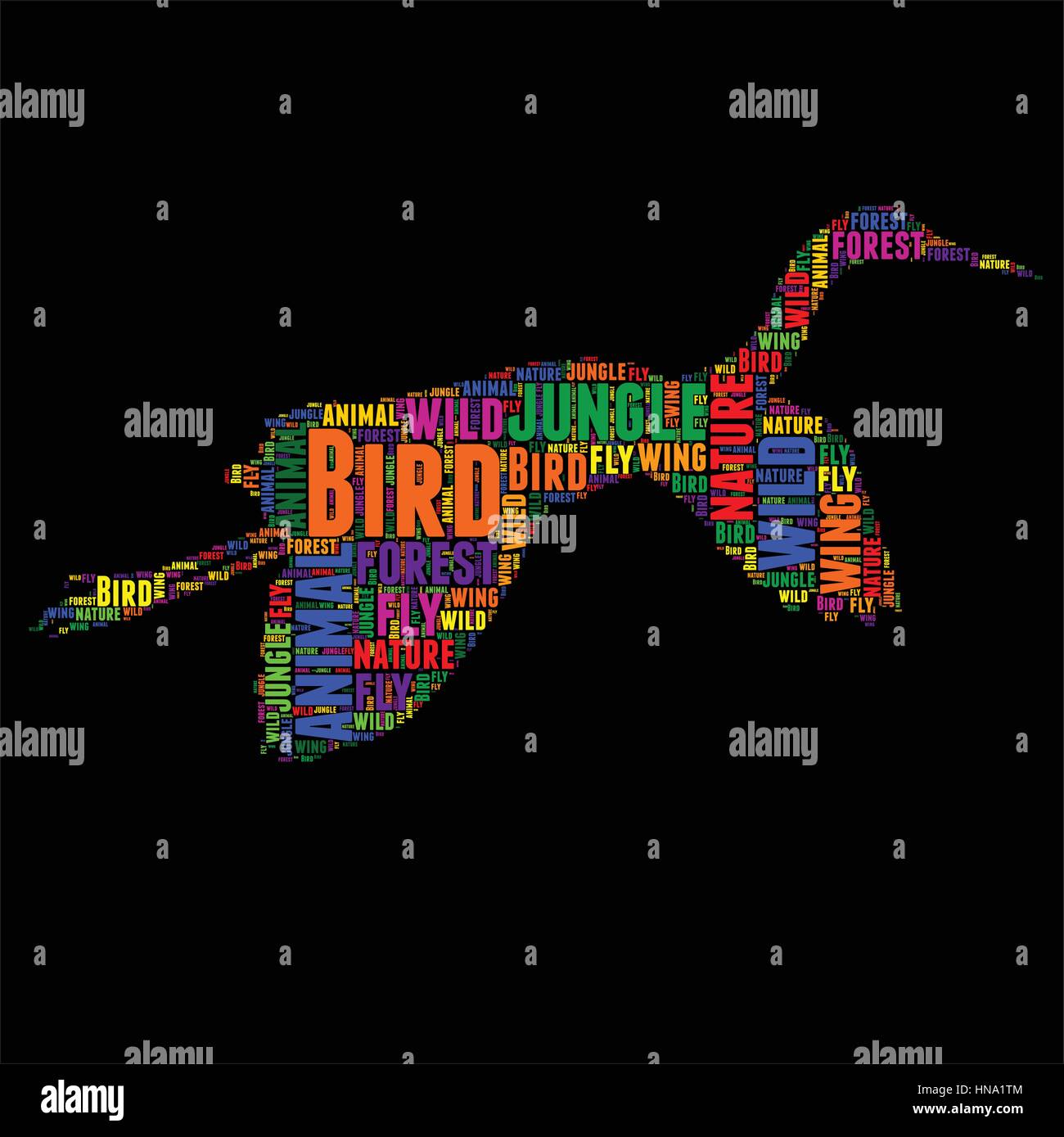 Bird Typography word cloud colorful Vector illustration Stock Vector ...