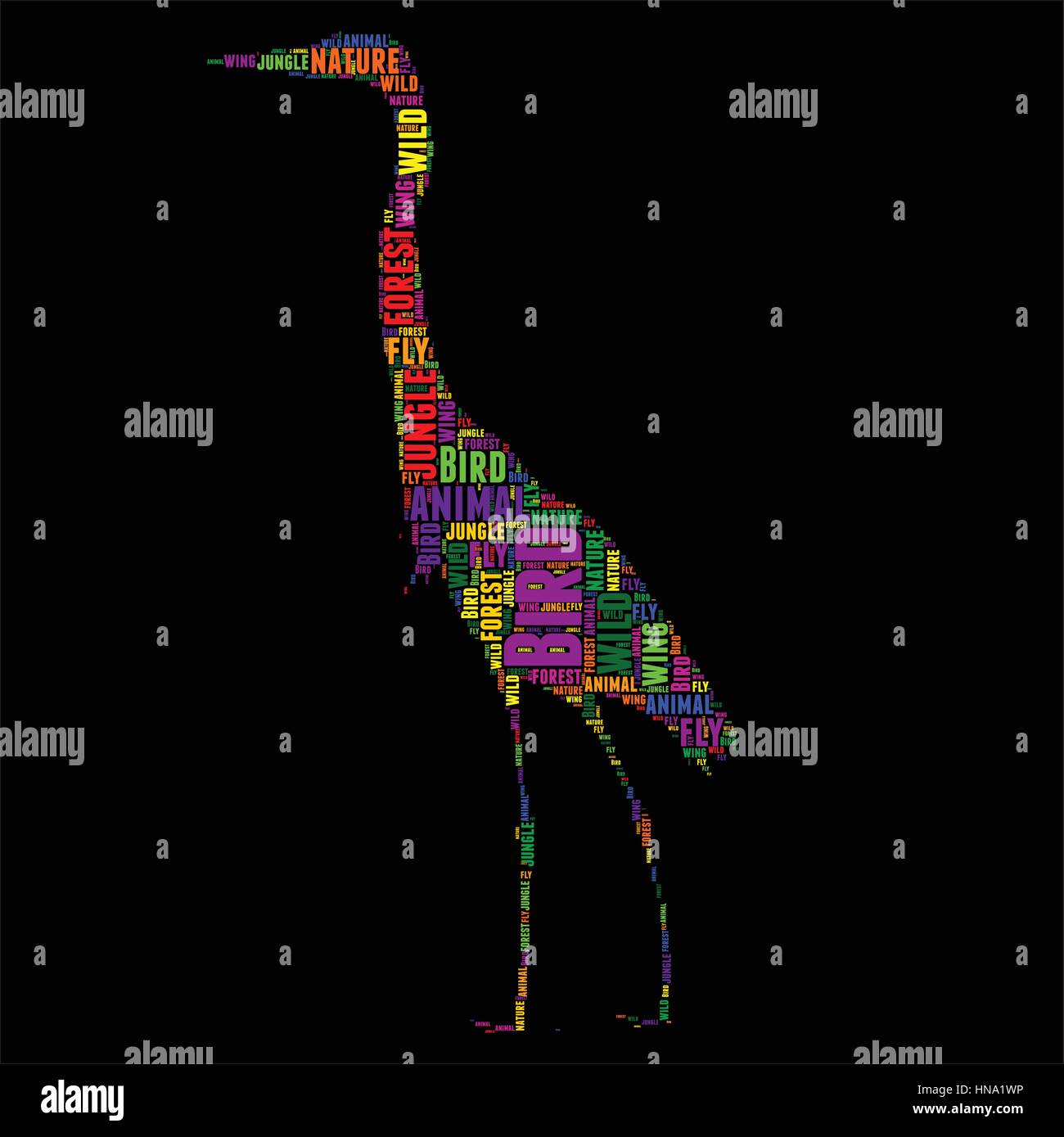 Bird Typography word cloud colorful Vector illustration Stock Vector ...