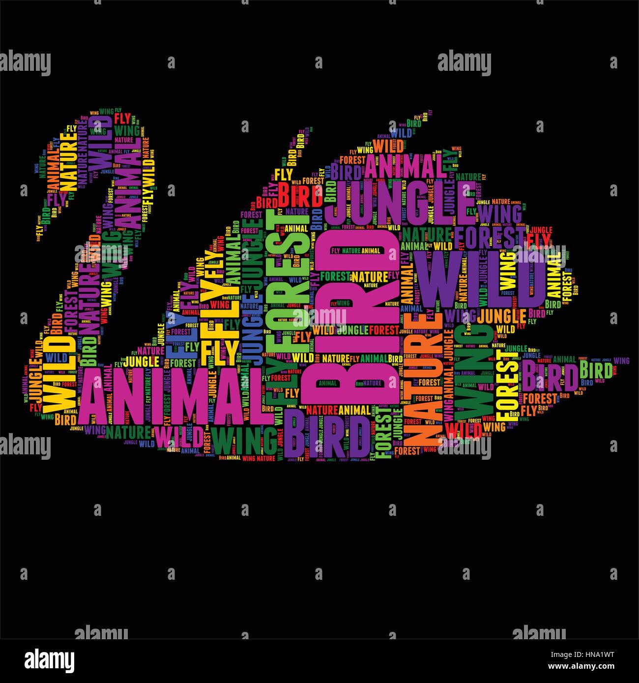 Bird Typography word cloud colorful Vector illustration Stock Vector ...