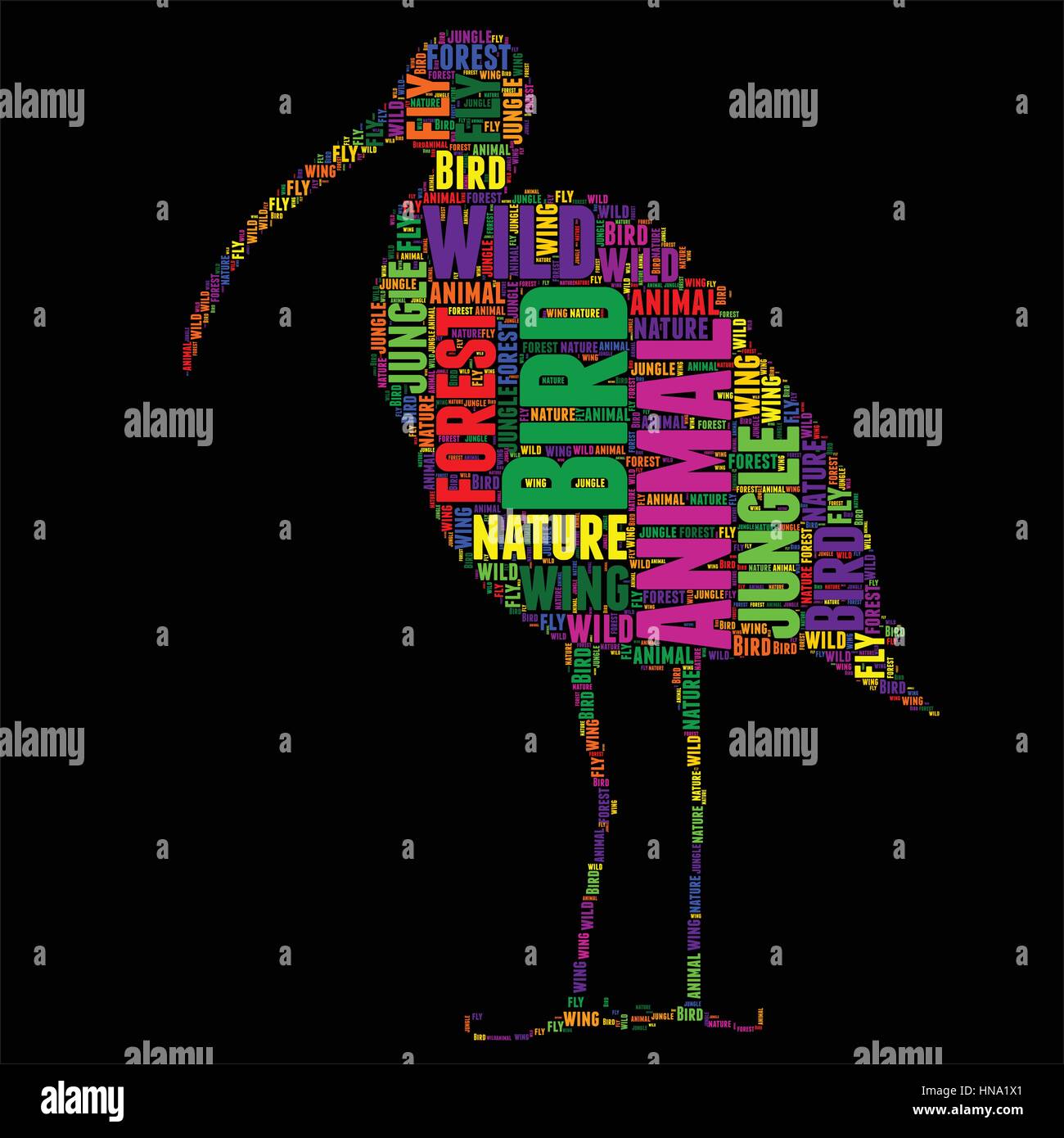 Bird Typography word cloud colorful Vector illustration Stock Vector ...