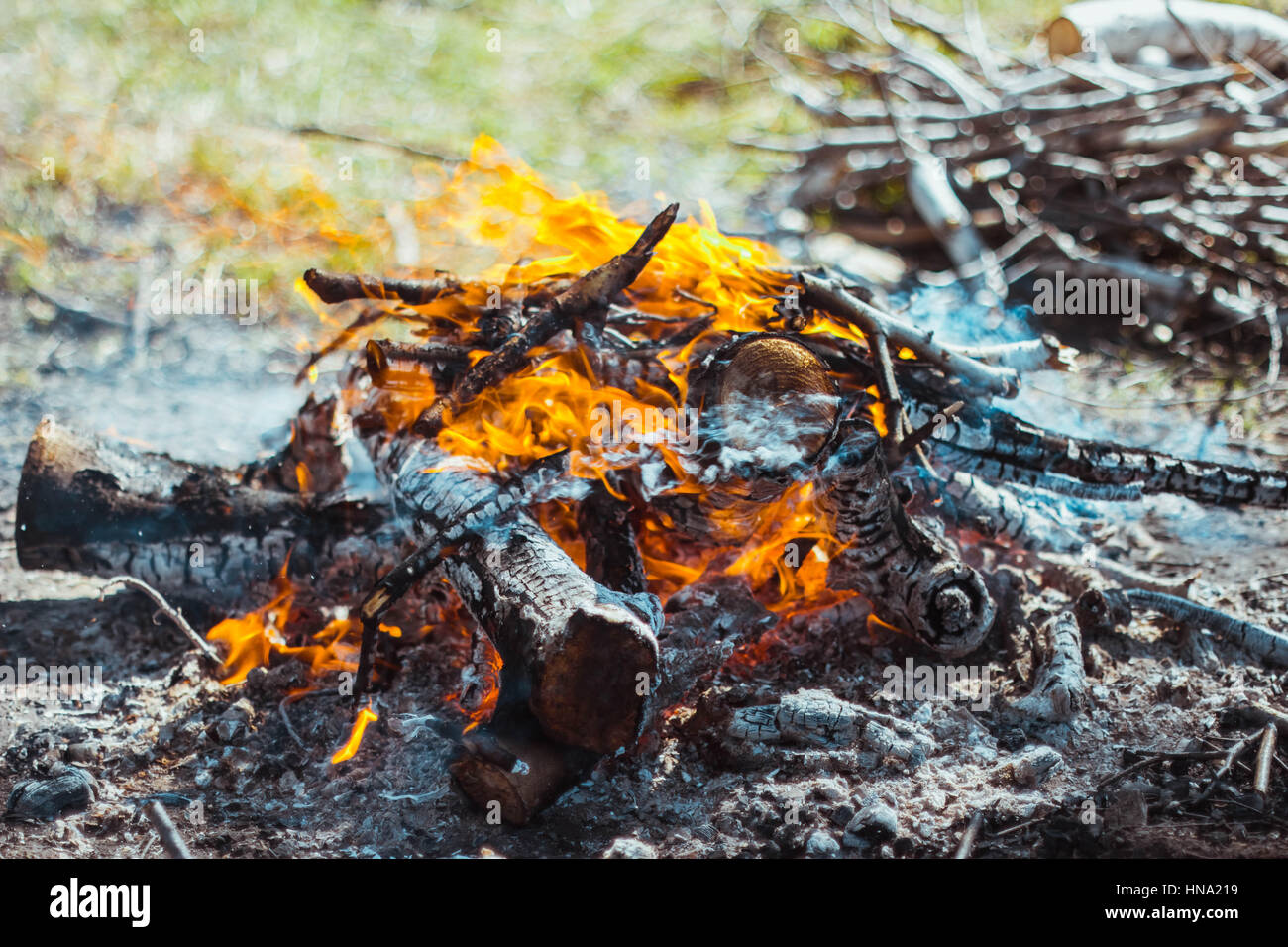 the bonfire of the branches burns on nature Stock Photo - Alamy