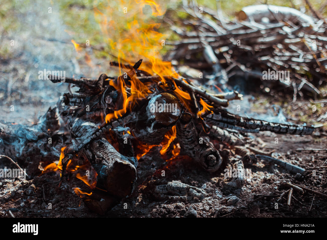 Bonfire branches burns on hi-res stock photography and images - Alamy